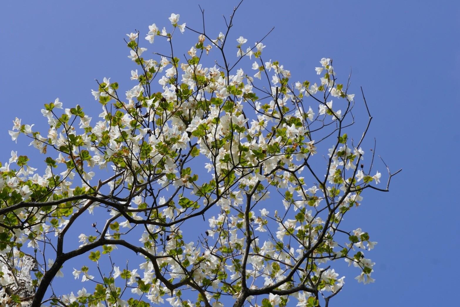 P791・鎌ヶ岳 / さっでぃさんの入道ヶ岳・鎌ヶ岳・仙ヶ岳の活動データ | YAMAP / ヤマップ
