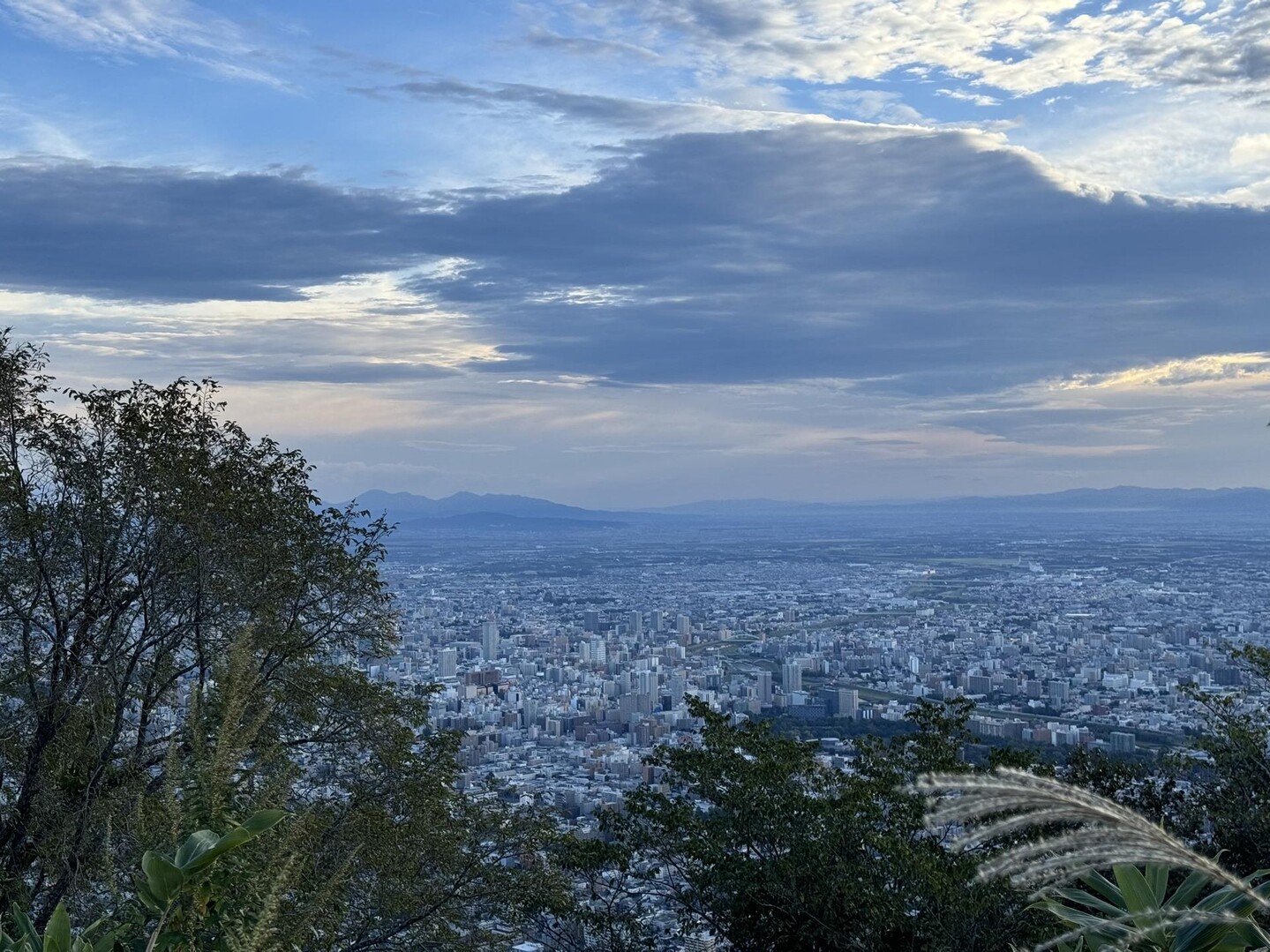 藻岩山 Day 24 74.3 / shinshinさんの札幌市の活動データ | YAMAP / ヤマップ