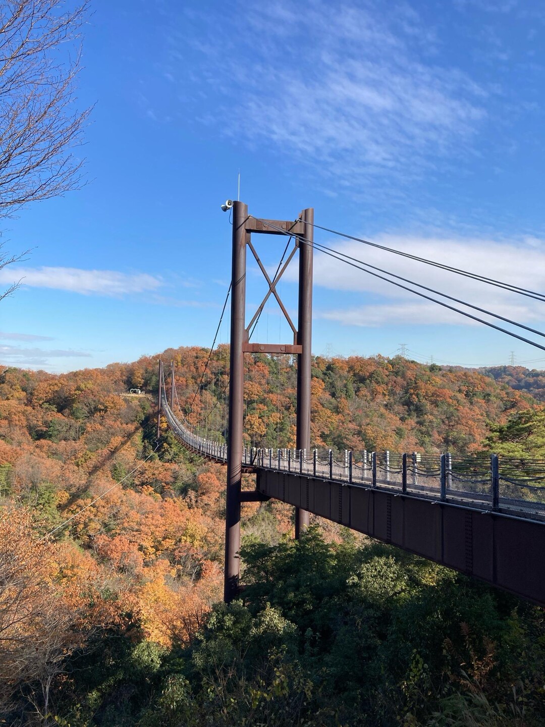 星田連山 / あきちゃんさんの交野山・国見山の活動データ | YAMAP / ヤマップ