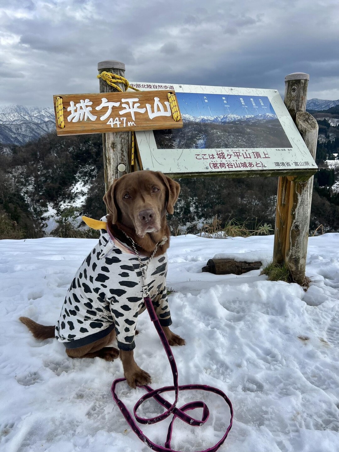 城ヶ平山 / piroさんの大辻山・高峰山・来拝山の活動日記 | YAMAP / ヤマップ