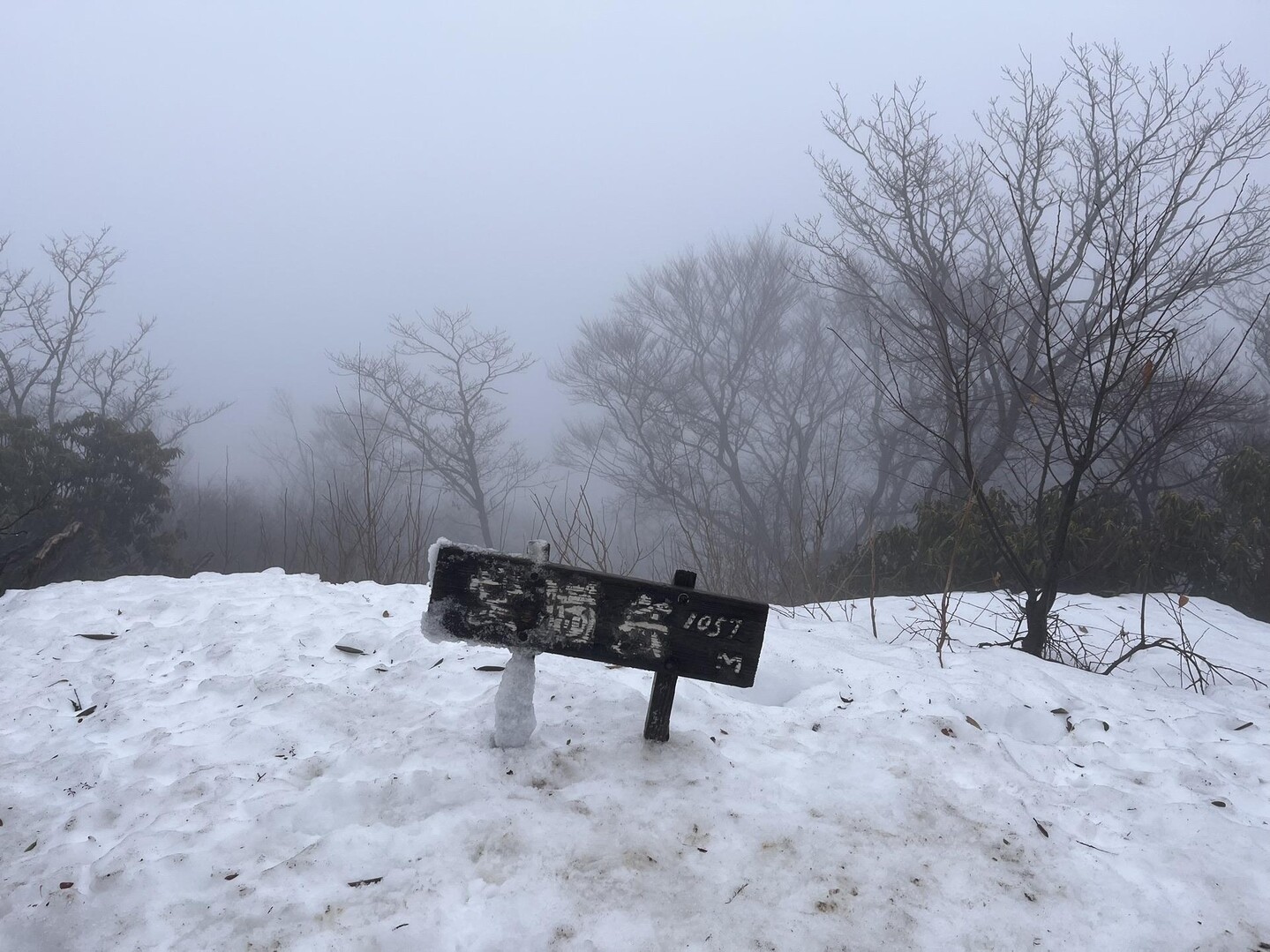 リハビリ堂満岳 / mh_trskさんの比良山地・武奈ヶ岳・釈迦岳の活動日記 | YAMAP / ヤマップ