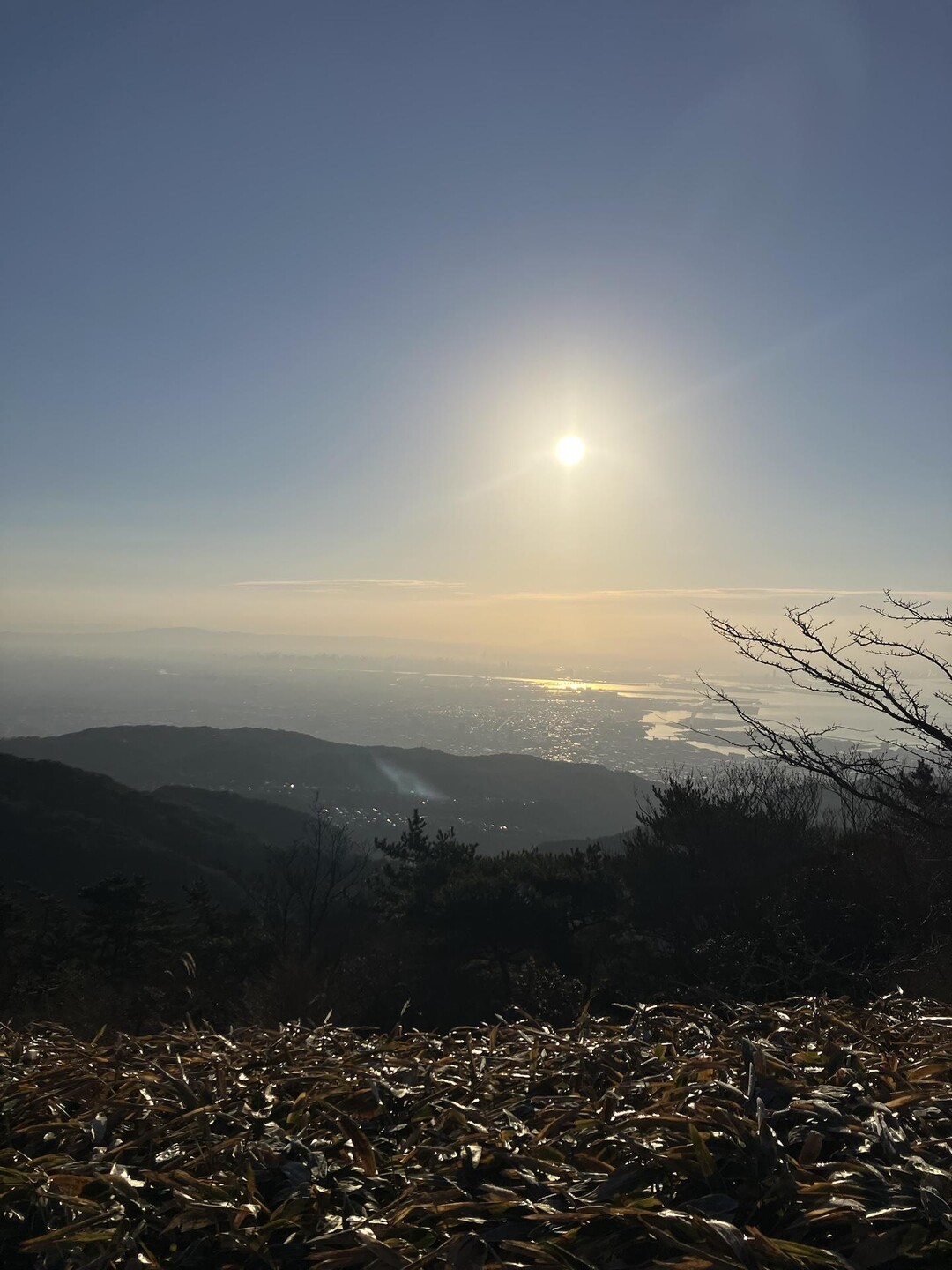 六甲山(The 1st in 2025) / hhiirrooさんの六甲山・長峰山・摩耶山の活動データ | YAMAP / ヤマップ