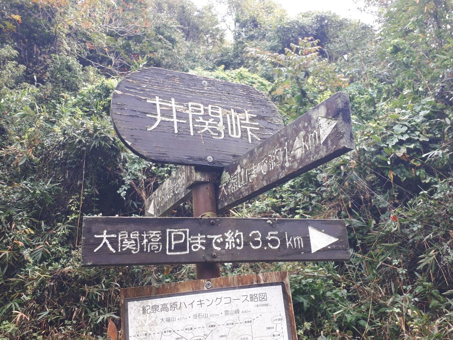 紀泉高原、井関峠、鳥取池、山中渓 / バランスライト(TET)さんの葛城修験エリアマップ（友ヶ島～和泉山脈周辺）の活動データ | YAMAP / ヤマップ