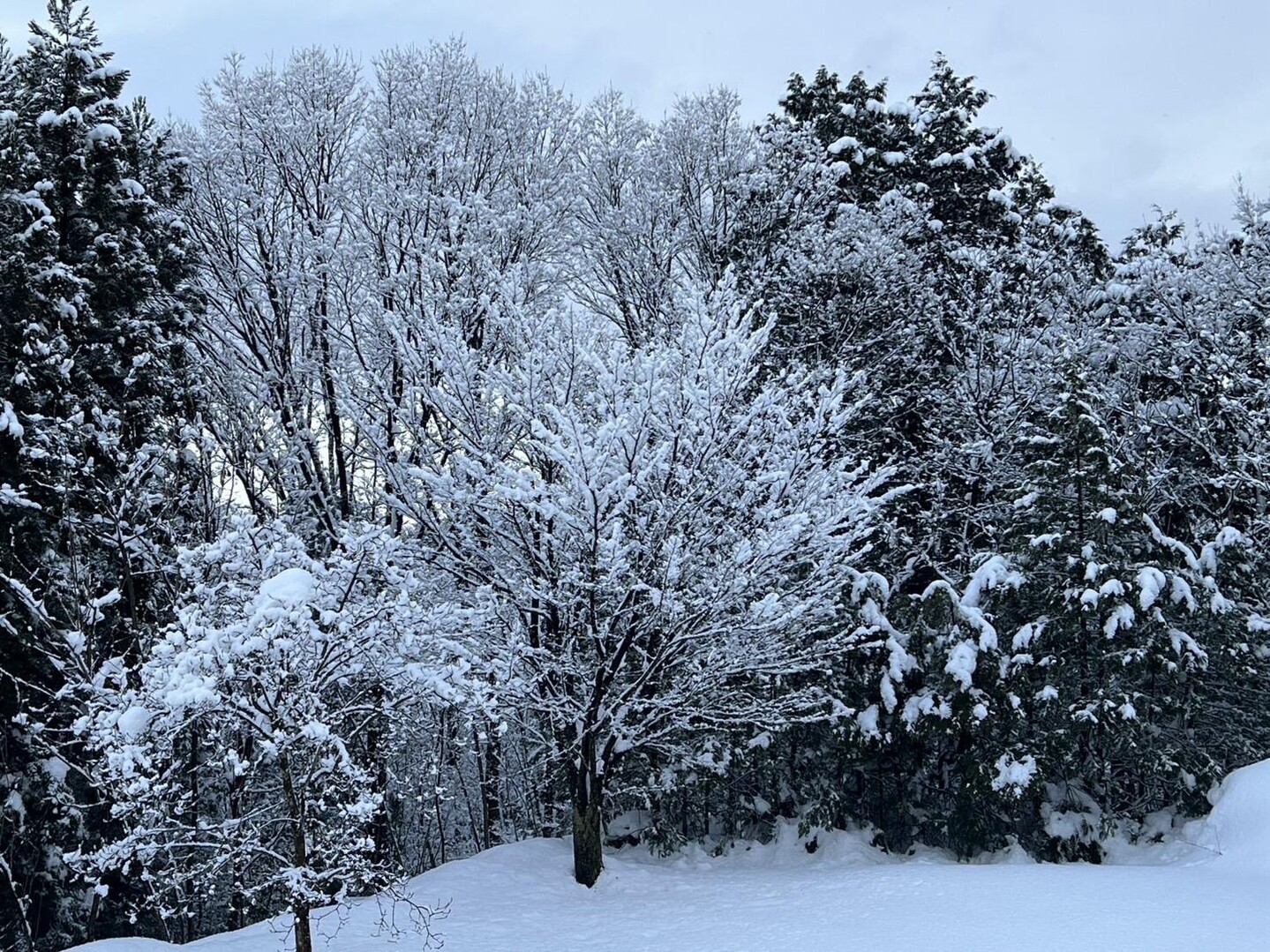宿泊先の町中からこんな景色が見れるとは... / KOZO.Mさんのモーメント | YAMAP / ヤマップ