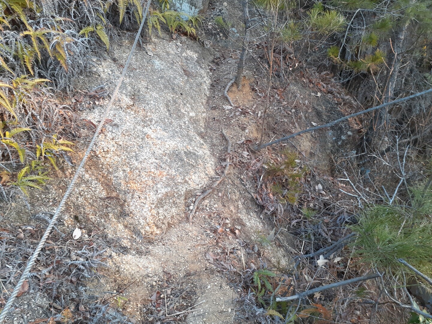 DSHさんの投稿したフィールドメモ | YAMAP / ヤマップ