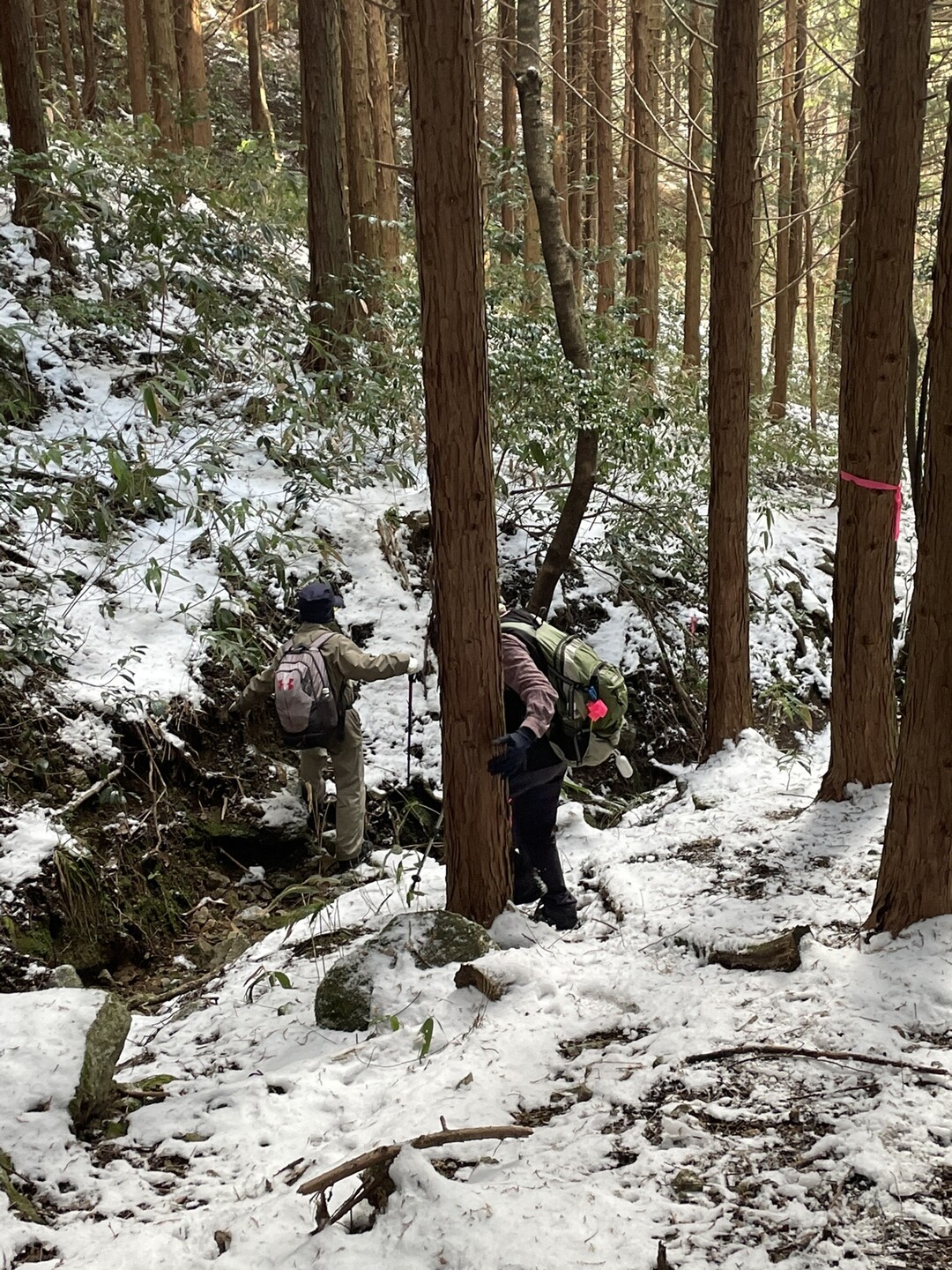 薄谷山 / JBT5さんの十種ヶ峰の活動データ | YAMAP / ヤマップ