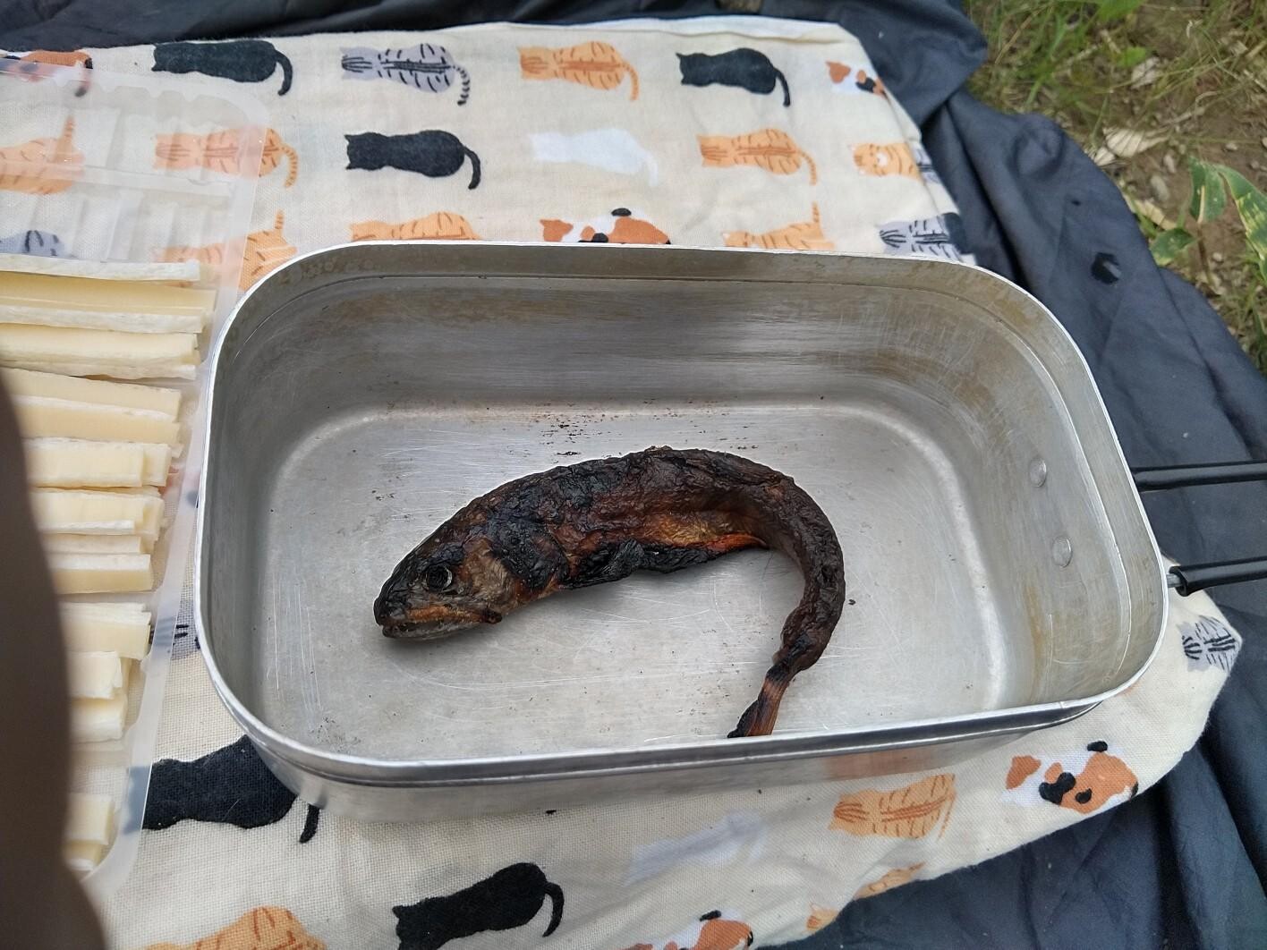 DOMO・コメント不要です。 信濃川日出... / ヤーメンさんのモーメント | YAMAP / ヤマップ