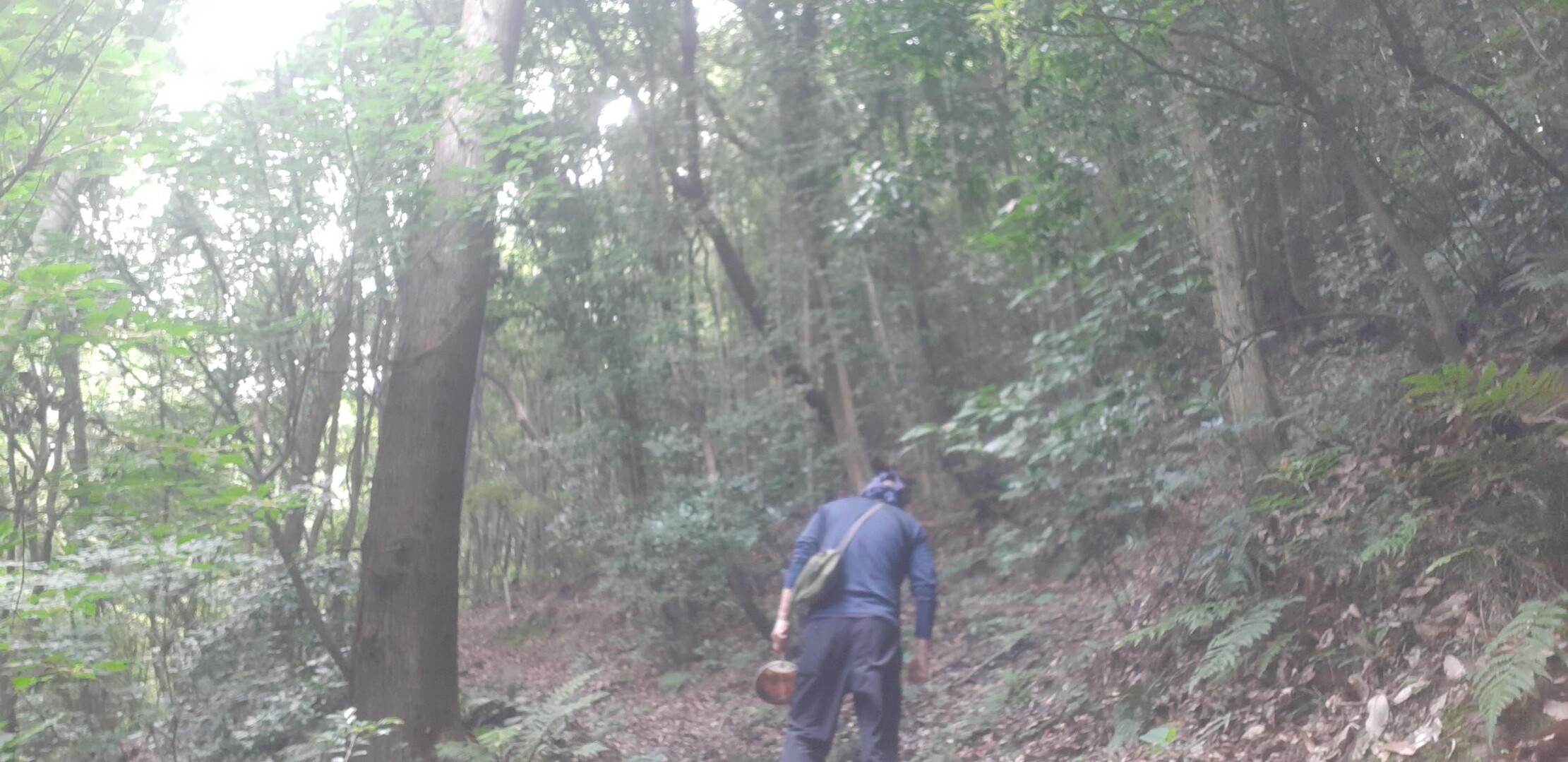 MO / いいちこ25度さんの障子岳・霊山・飛来山・本宮山の活動データ | YAMAP / ヤマップ