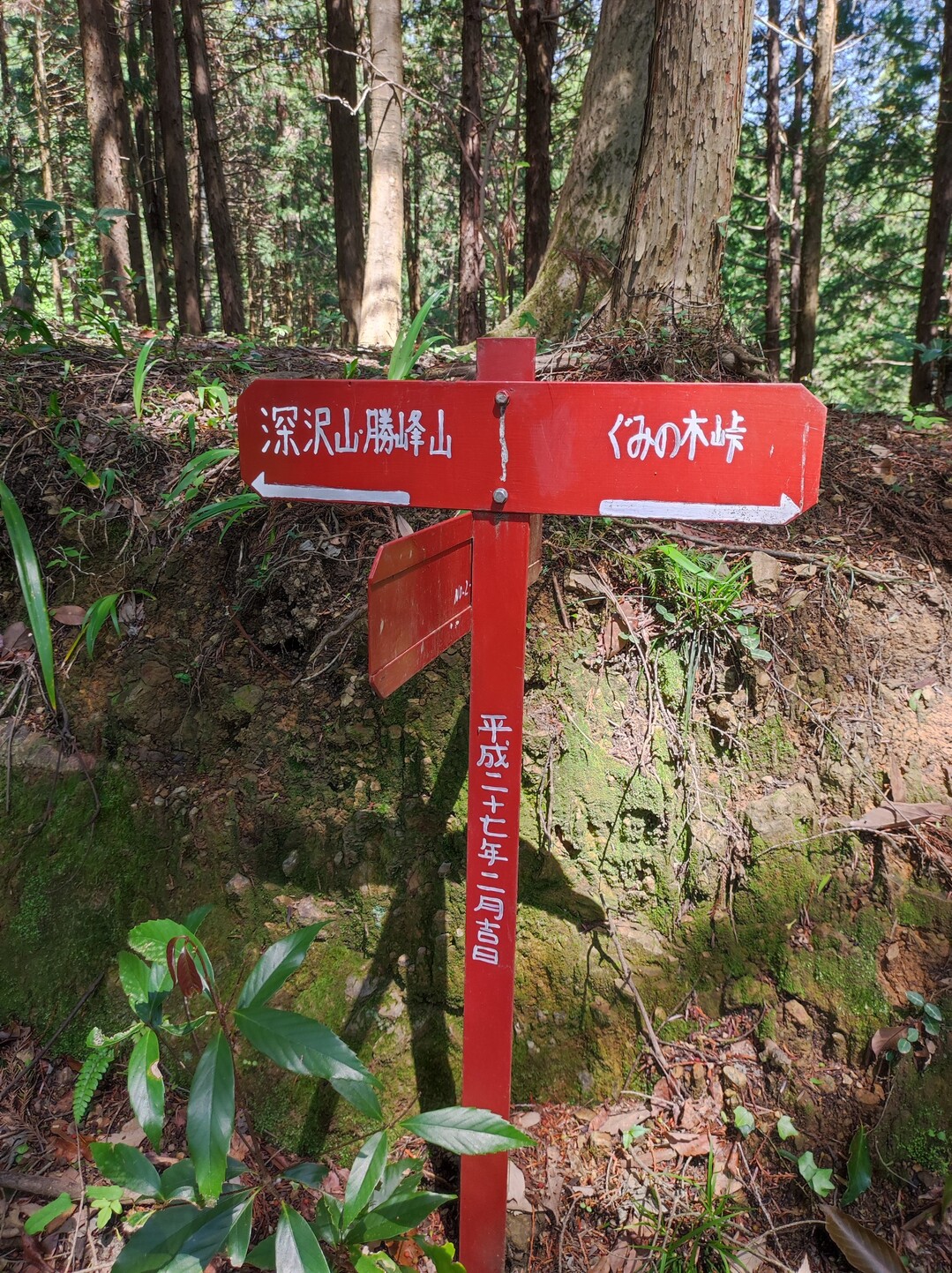 mappyさんの投稿したフィールドメモ | YAMAP / ヤマップ