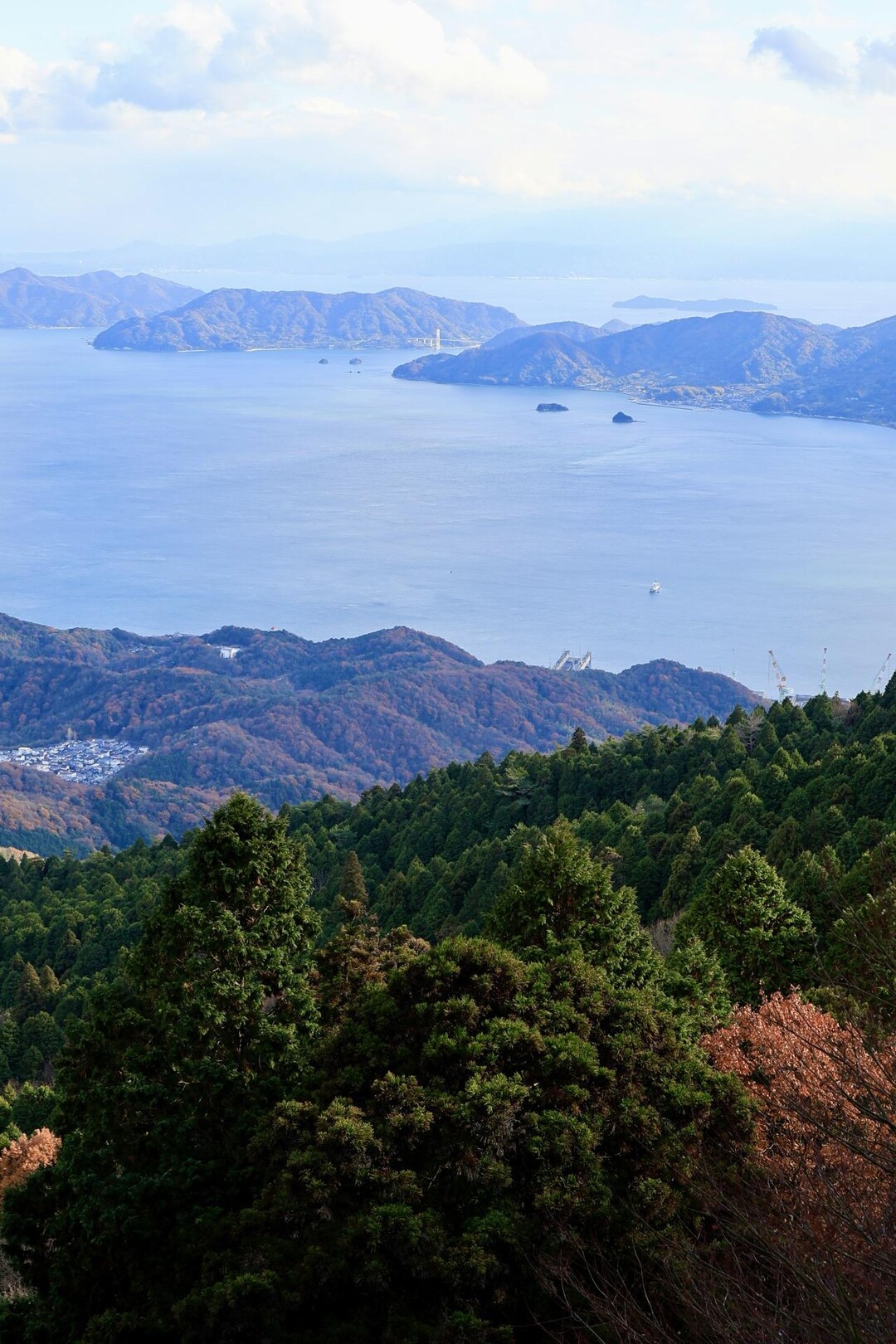 野呂山・弘法寺山 / leoleonさんの野呂山・膳棚山の活動データ | YAMAP / ヤマップ