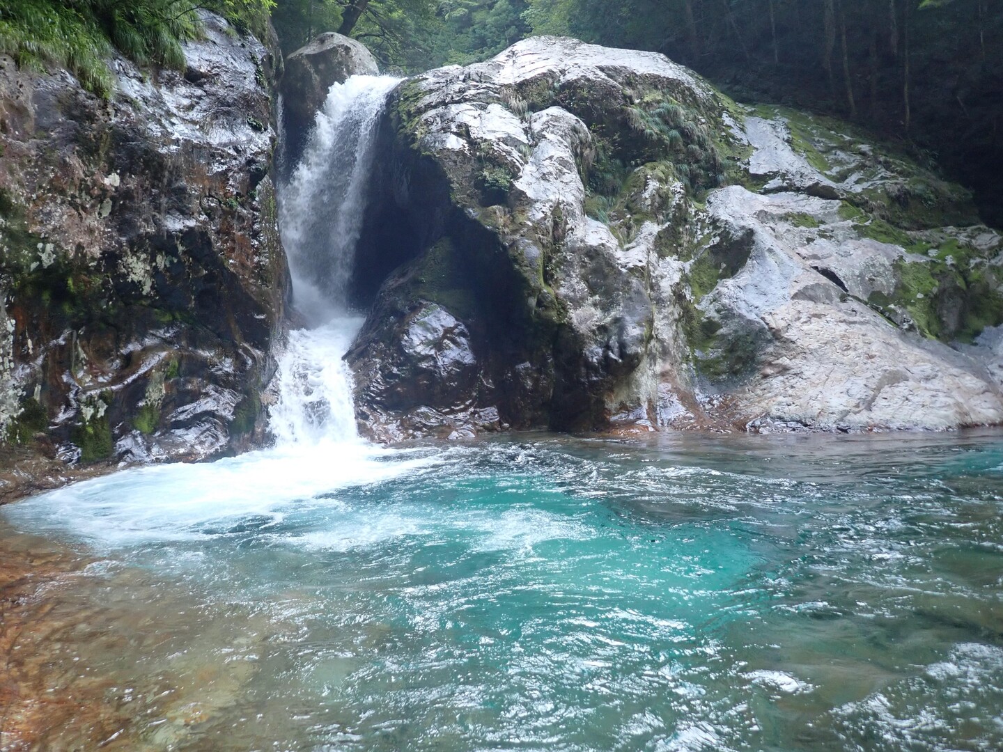 前鬼ブルー / 555さんのモーメント | YAMAP / ヤマップ