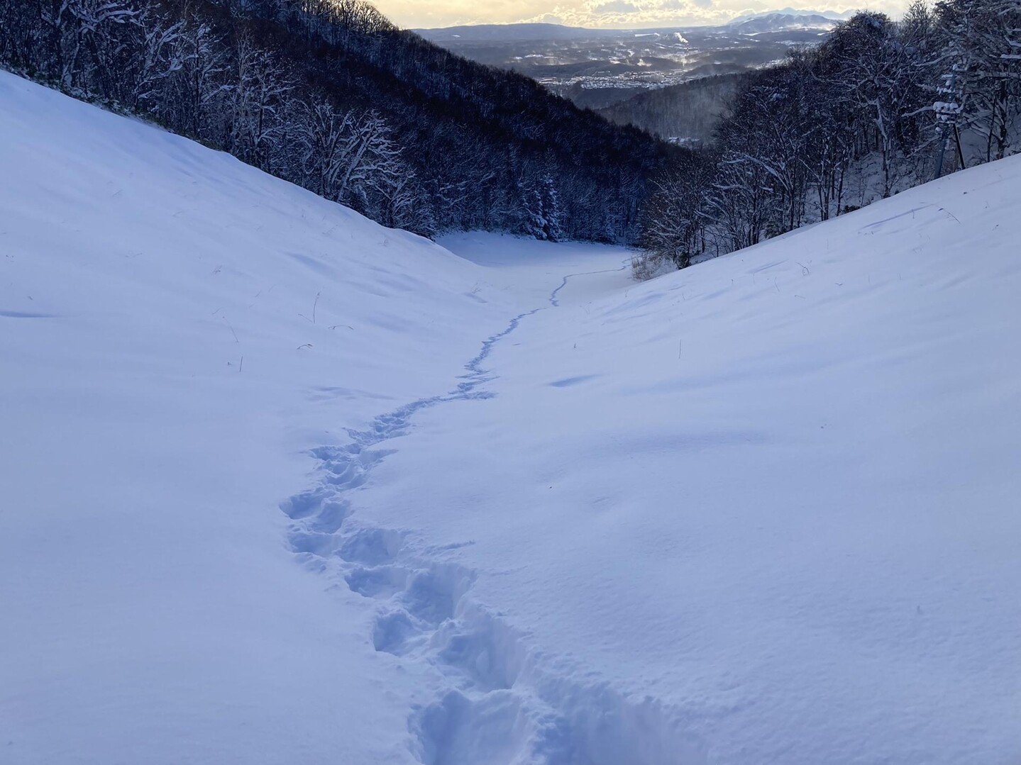 ちょっと遅い朝活藻岩山💦。。感動のツボ足🦵 / 2525bbさんの藻岩山の活動データ | YAMAP / ヤマップ