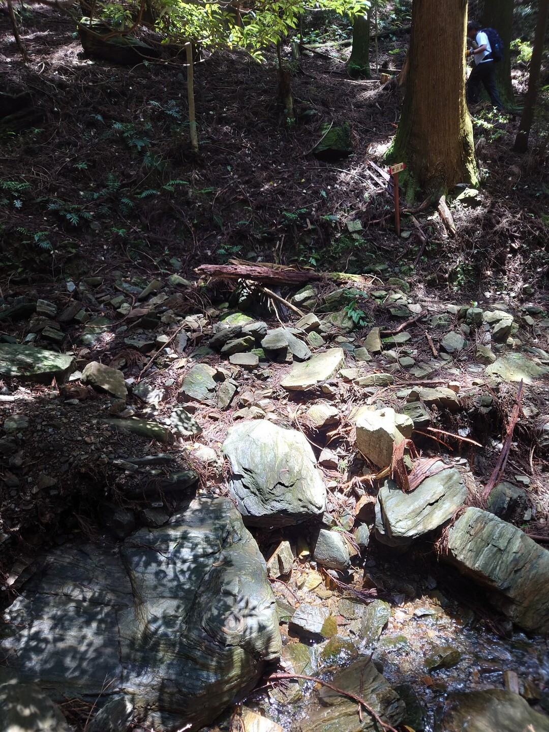 j.jack02さんの投稿したフィールドメモ | YAMAP / ヤマップ