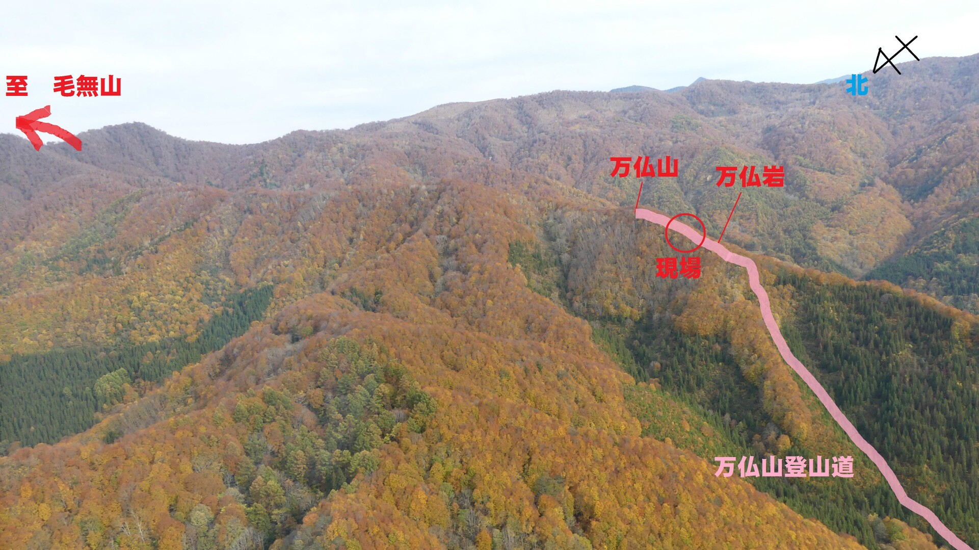 【島崎三歩の山岳通信】第284号(令和4年11月2日)＜10 | YAMAP / ヤマップ