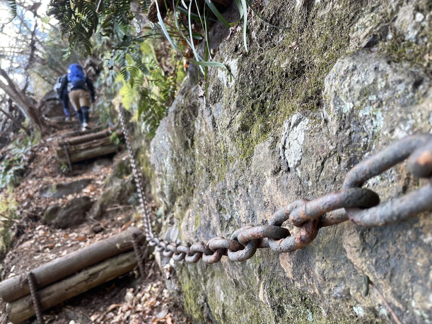 四阿屋山 / Kosukeさんの両神山・諏訪山・二子山の活動日記 | YAMAP / ヤマップ