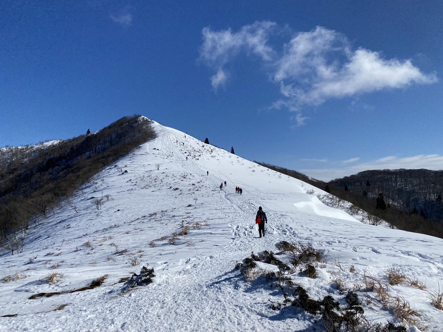 御殿山・武奈ヶ岳 / KTRさんの比良山地・武奈ヶ岳・釈迦岳の活動データ | YAMAP / ヤマップ