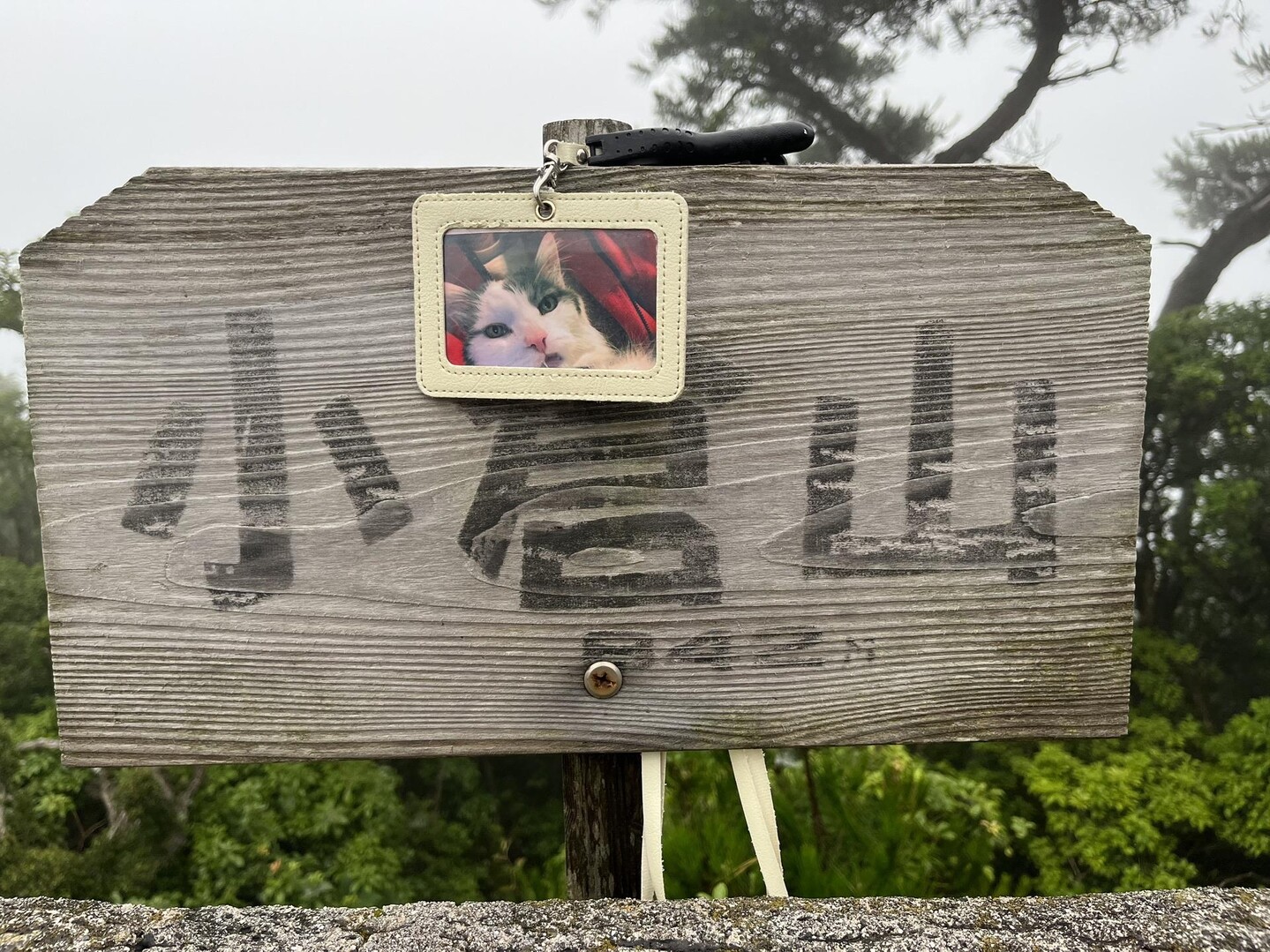 三方山・小倉山・なっくんと共にR5-21(通算176) / なっくんさんの養老山・笙ヶ岳・三方山の活動データ | YAMAP / ヤマップ