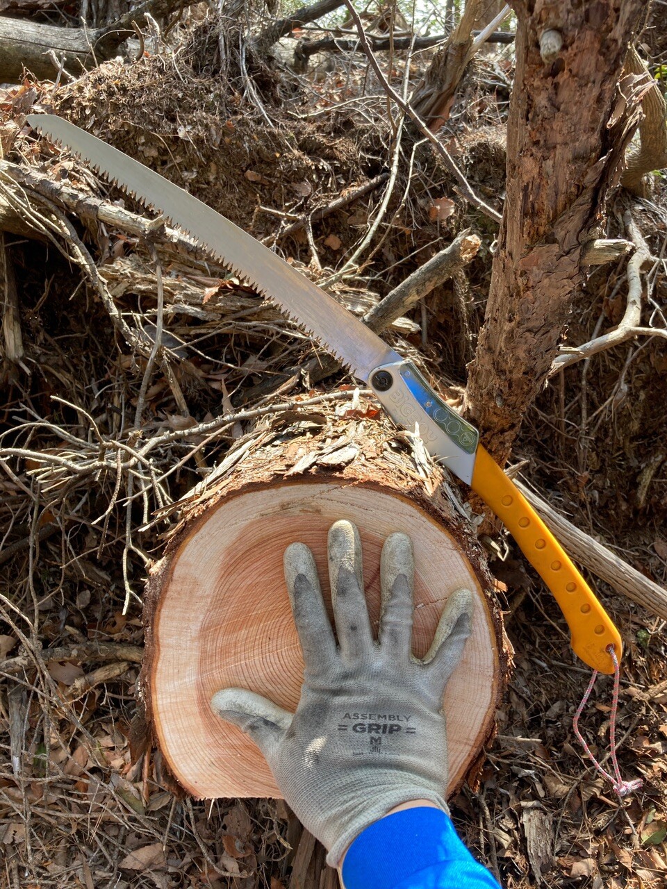 keloのページ | YAMAP / ヤマップ