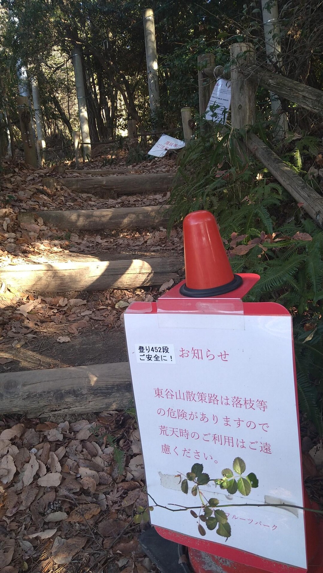 minyayonさんの投稿したフィールドメモ | YAMAP / ヤマップ