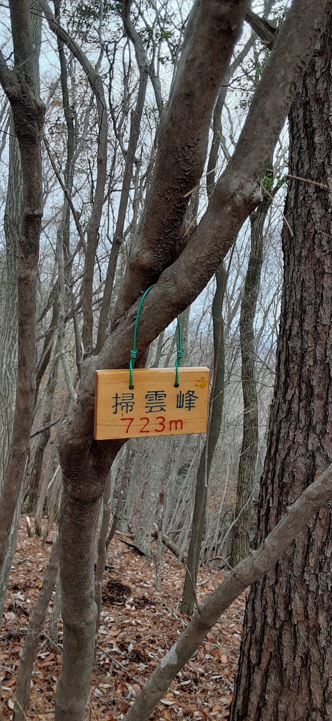 Shinさんの投稿したフィールドメモ | YAMAP / ヤマップ