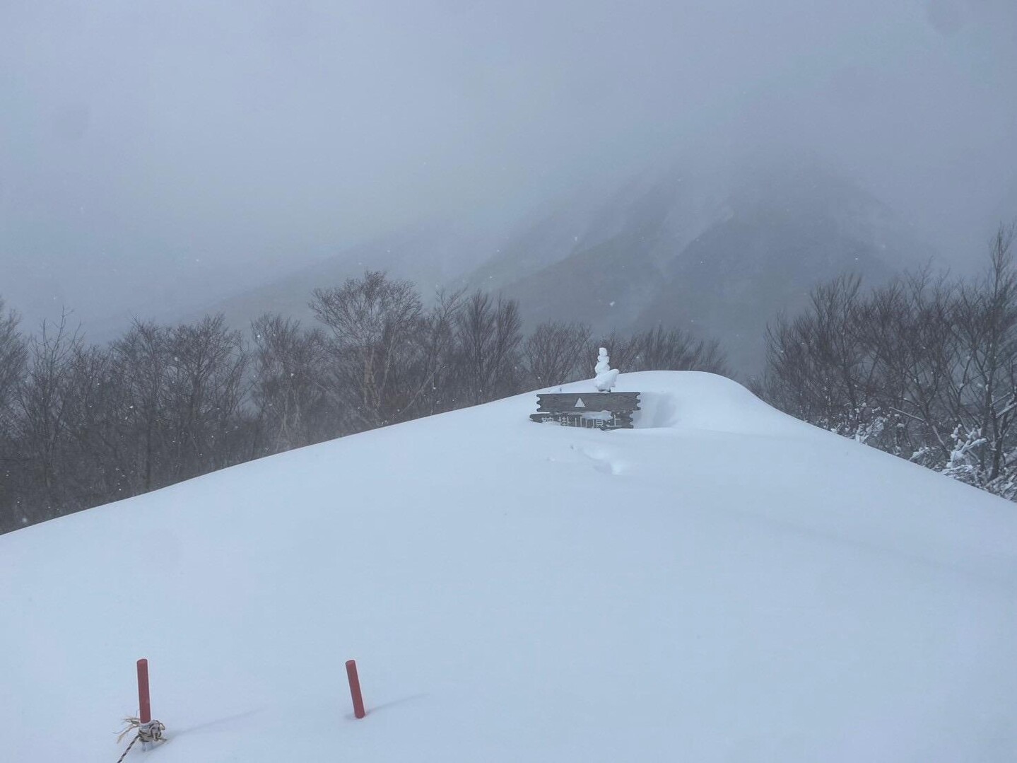 鞍掛山 R7.2.5 / スミ 三陸登山部さんの岩手山・黒倉山・鞍掛山の活動データ | YAMAP / ヤマップ