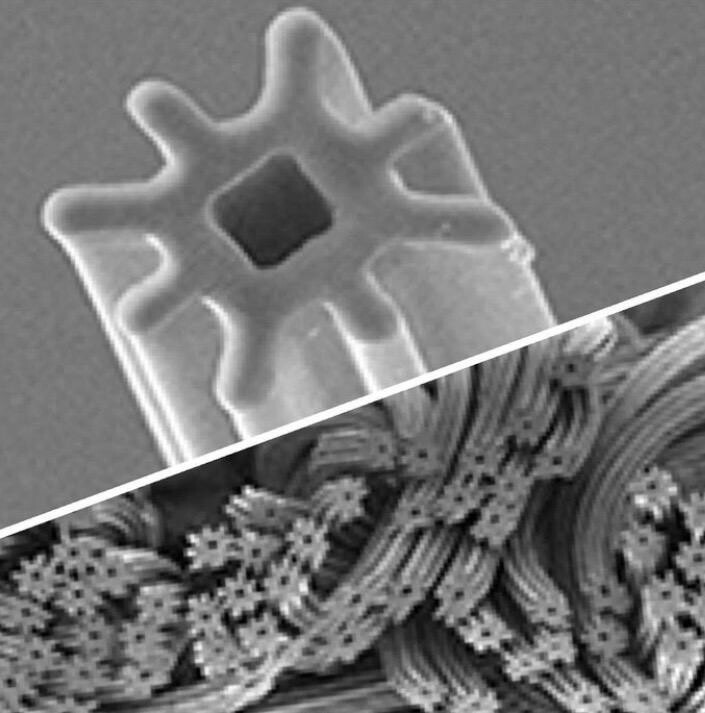 久々にグローブ買いました。 初Foxfi... / Reyさんのモーメント | YAMAP / ヤマップ