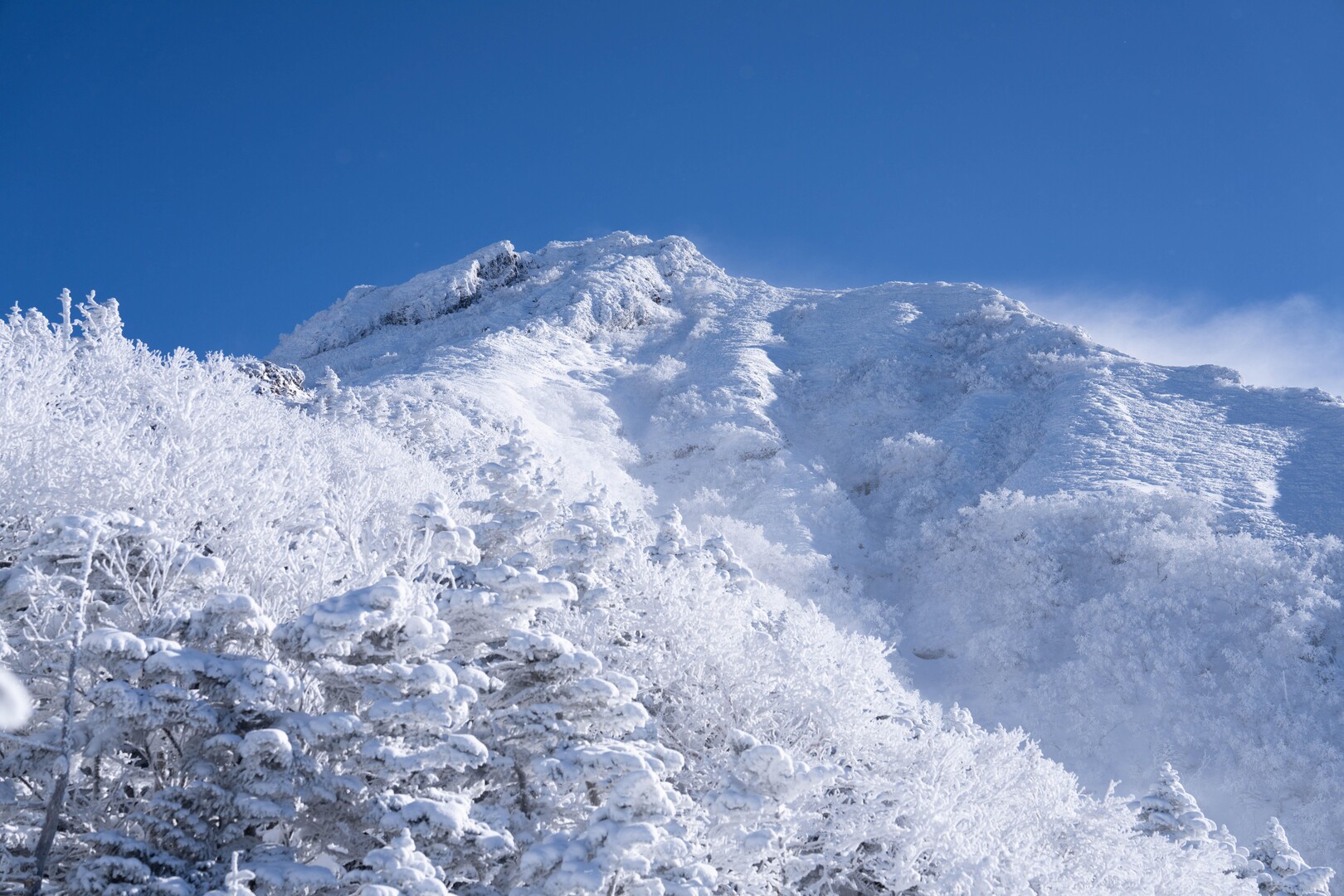 阿弥陀岳（個人的冬期八ヶ岳史上最高の天気） / RUMIXさんの八ヶ岳（赤岳・硫黄岳・天狗岳）の活動データ | YAMAP / ヤマップ