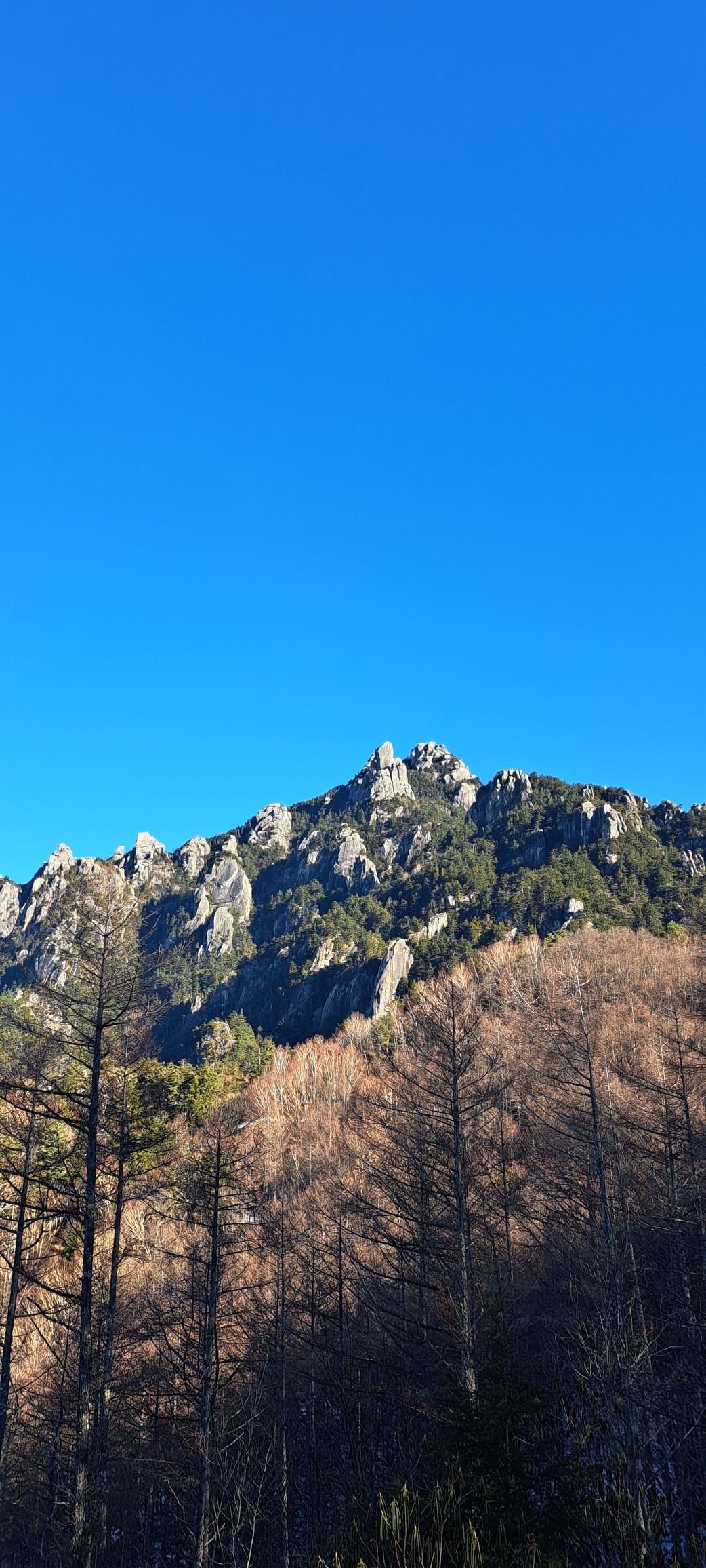 瑞牆山 / hiyaさんの瑞牆山・金峰山の活動データ | YAMAP / ヤマップ