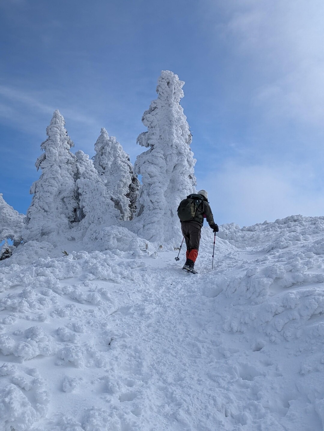 リベンジ南沢山・横川山 / ハル317さんの恵那山・大判山・神坂山の活動データ | YAMAP / ヤマップ