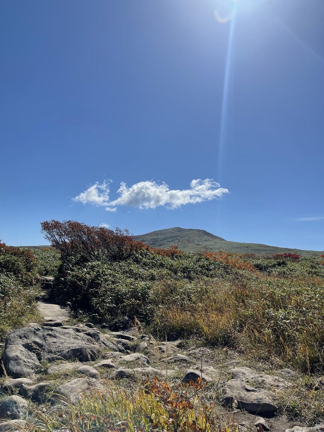 Reborn me 出羽三山 / mojaさんの羽黒山の活動データ | YAMAP / ヤマップ