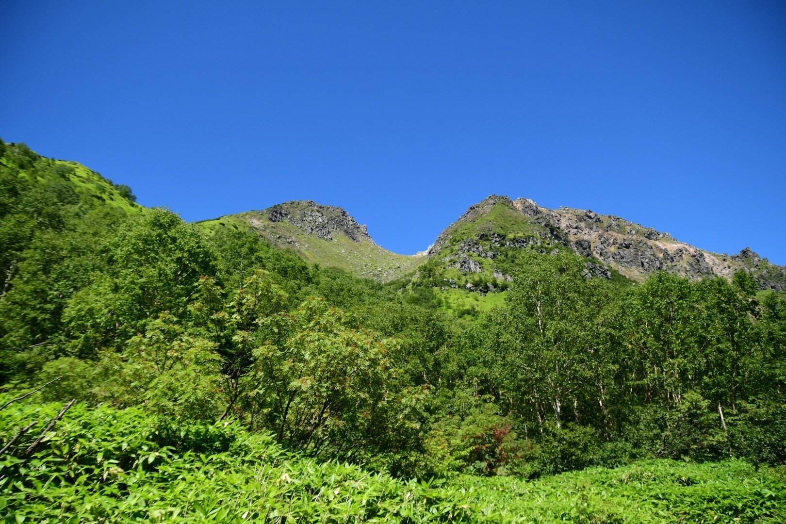 焼岳(北峰) / you1 さんの乗鞍岳の活動データ | YAMAP / ヤマップ