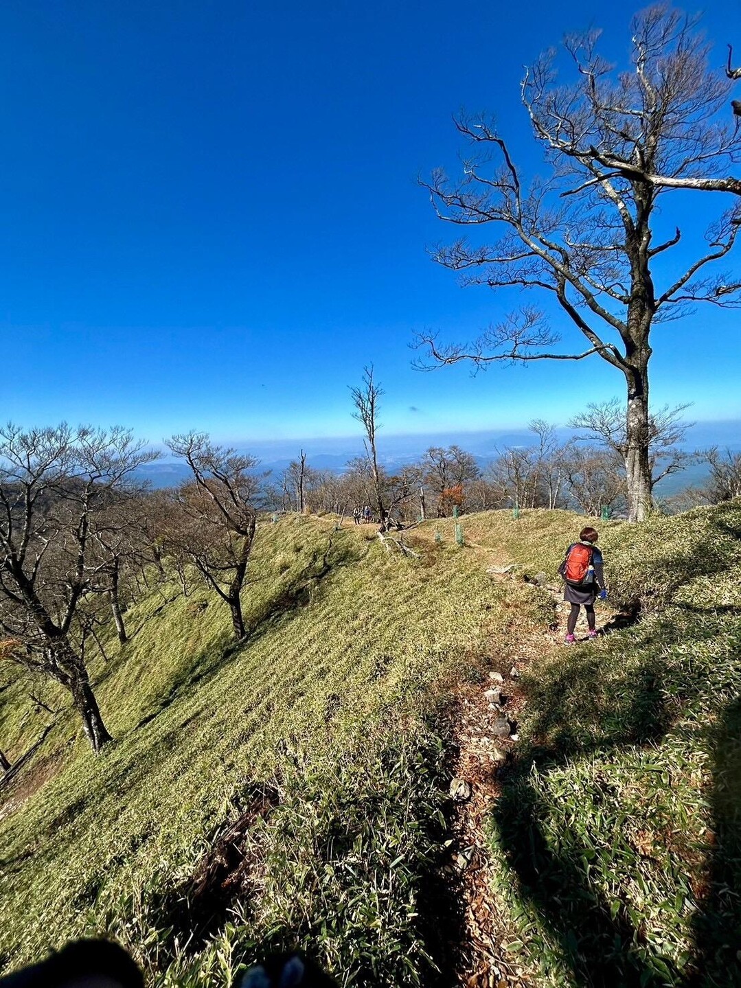 英彦山（北岳）・英彦山（中岳）へGO😆ᩚ👍🏻 ︎´- / ちーさんの英彦山の活動データ | YAMAP / ヤマップ