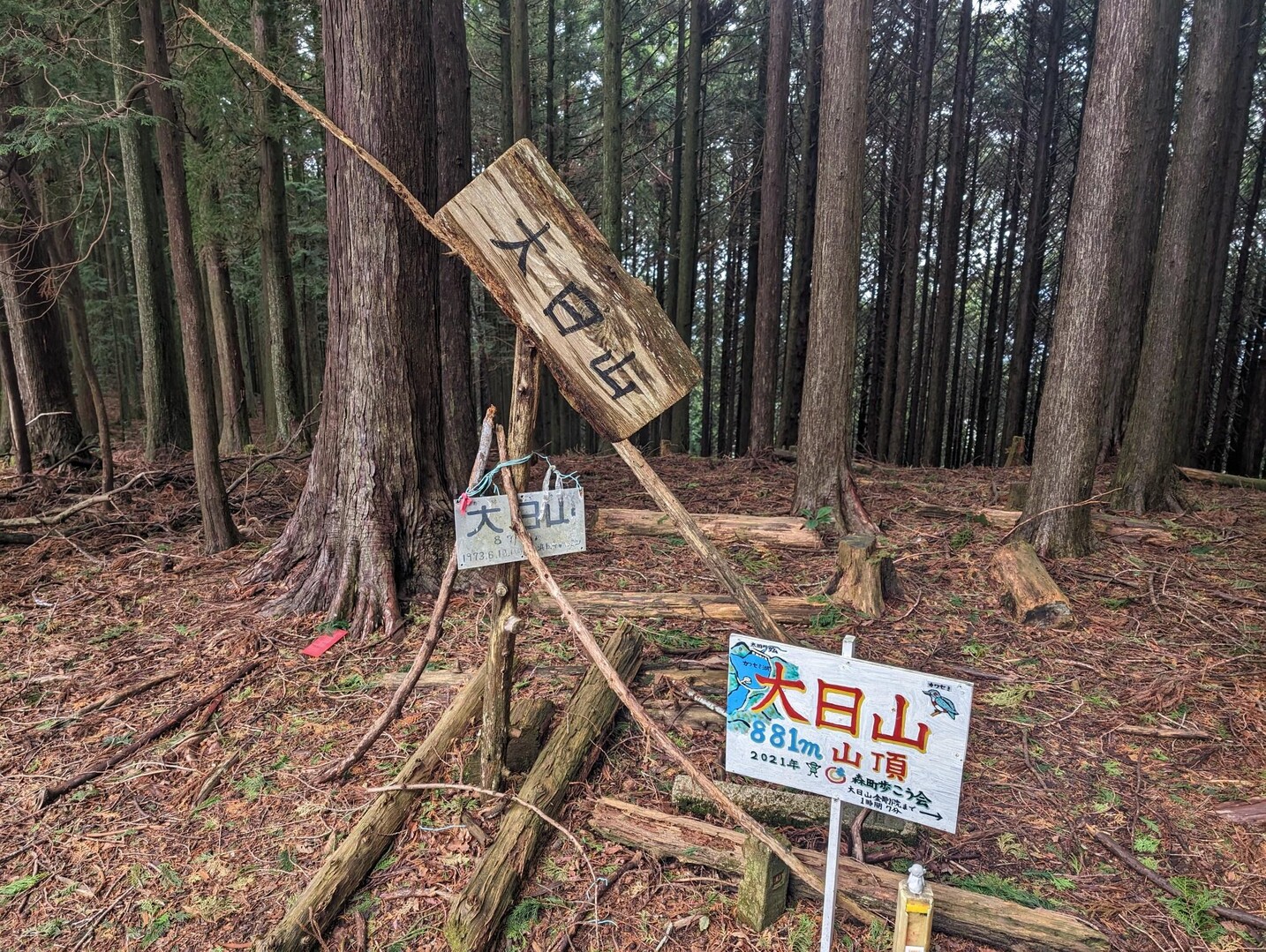 鉄塔マニア？ナタクマ山・大日山 / Te ruさんの春埜山の活動データ | YAMAP / ヤマップ