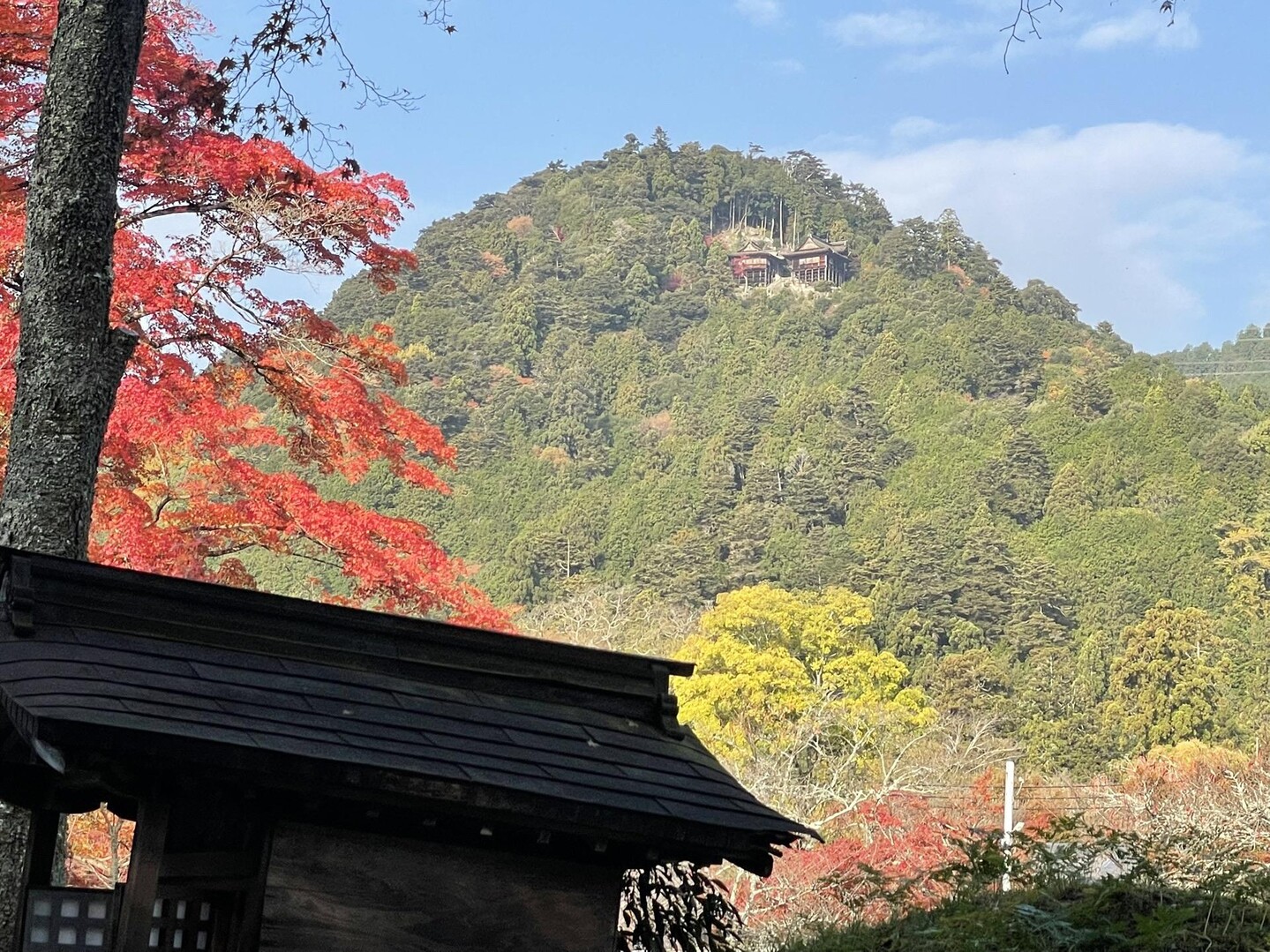 乗り物三昧🚠🚡🚠比叡山ハイキング / mikiさんの比叡山・横高山・梶山の活動データ | YAMAP / ヤマップ