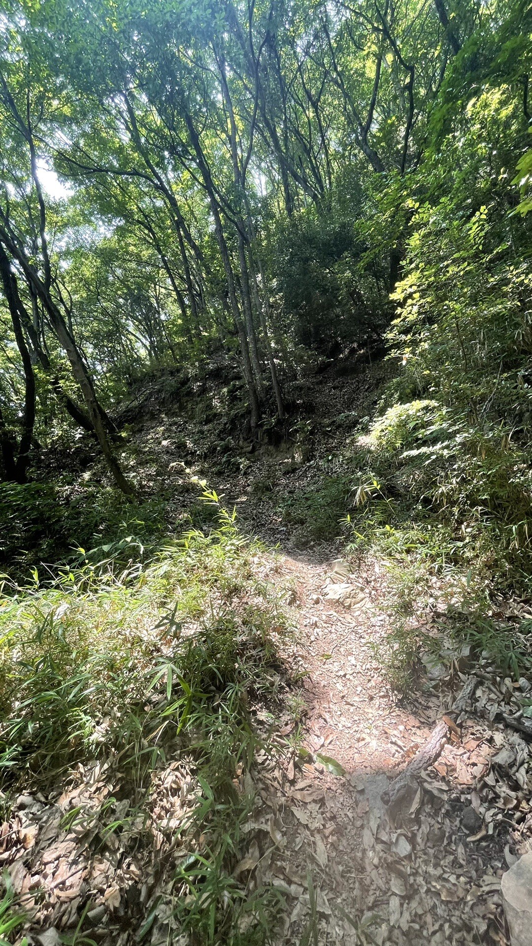 nakaさんの投稿したフィールドメモ | YAMAP / ヤマップ