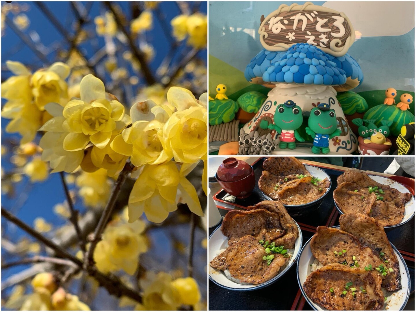 YAMAPの使い方勉強会😌宝登山 / Taka♪さんの宝登山・長瀞アルプス・不動山・陣見山・鐘撞堂山の活動データ | YAMAP / ヤマップ