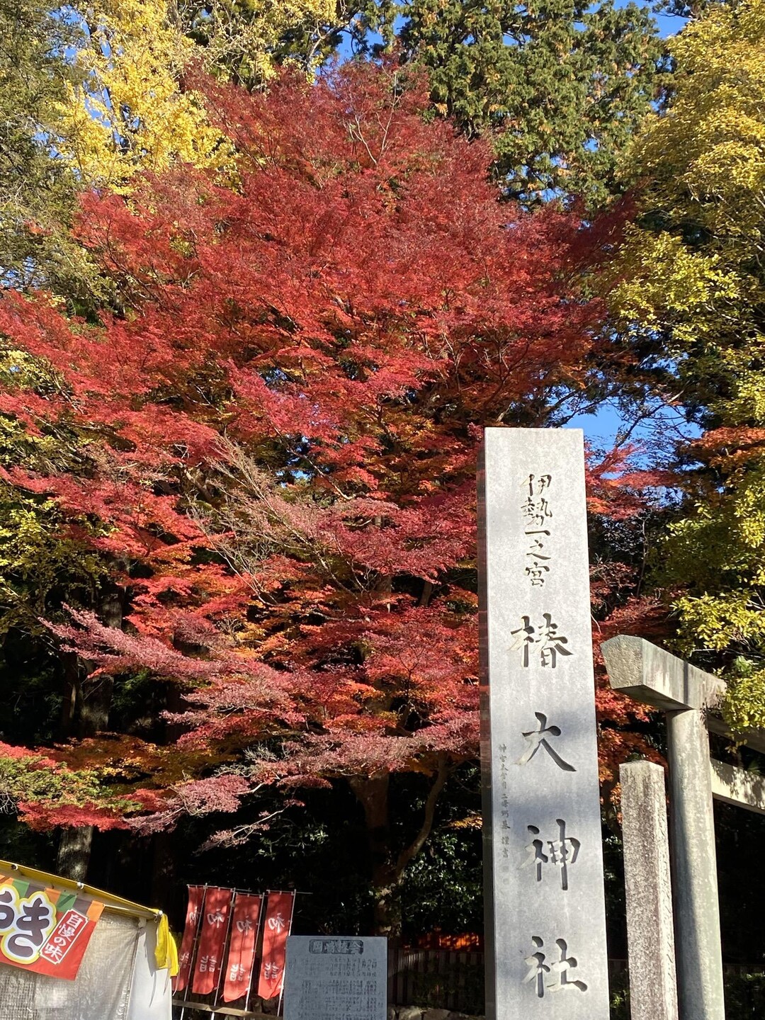 北の頭・入道ヶ岳 / (-_-)zzzさんの入道ヶ岳・鎌ヶ岳・仙ヶ岳の活動データ | YAMAP / ヤマップ