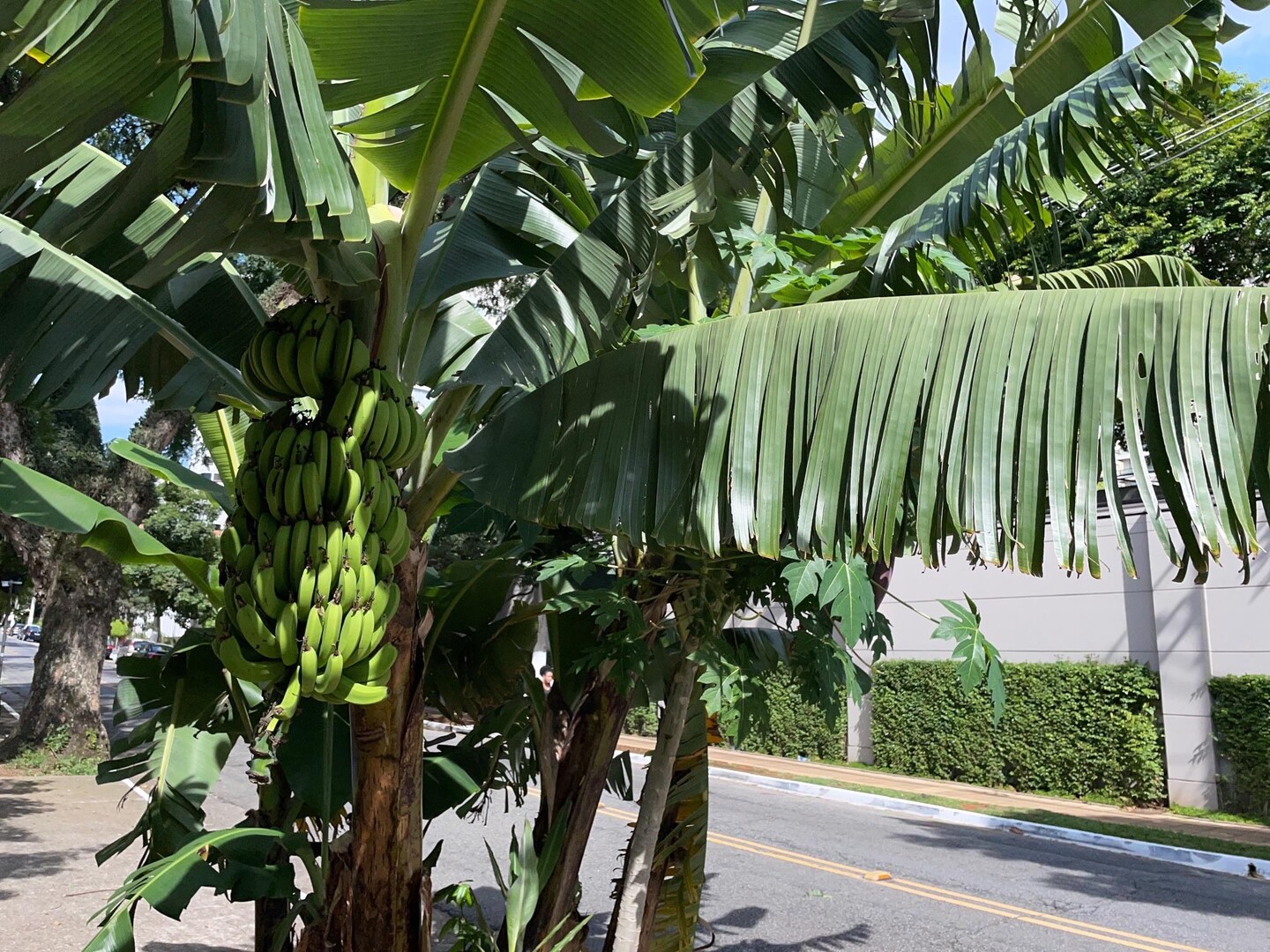 ランニング その135 / HASEさんのランニングの活動データ | YAMAP / ヤマップ