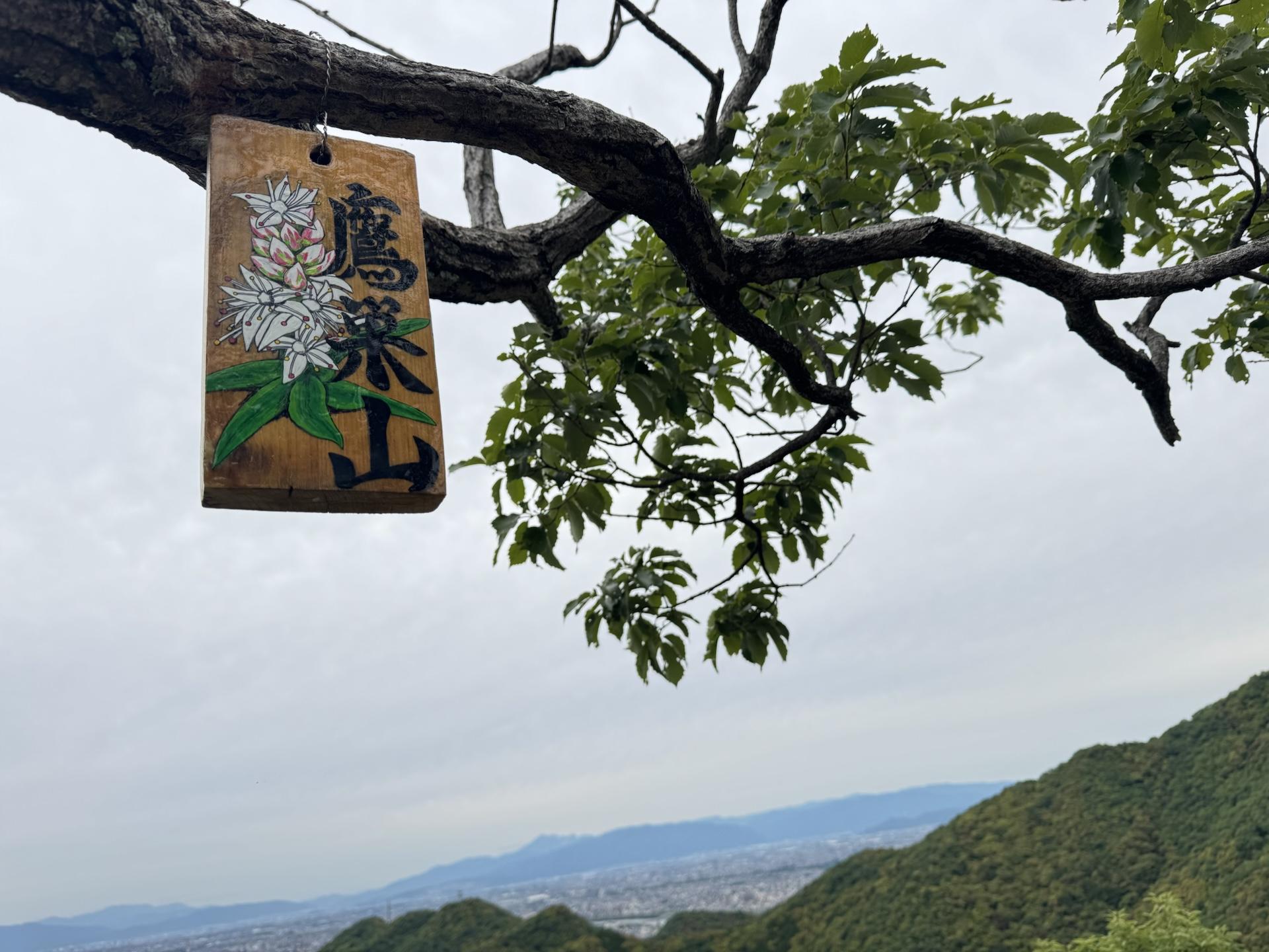 金華山GT 11座再び!!! / Meruさんの金華山・洞山・舟伏山の活動データ | YAMAP / ヤマップ