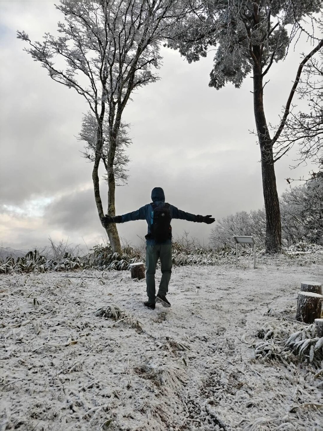 城ノ峰・若穂太郎山 / cocoacoさんの妙徳山・若穂太郎山・大洞山の活動データ | YAMAP / ヤマップ