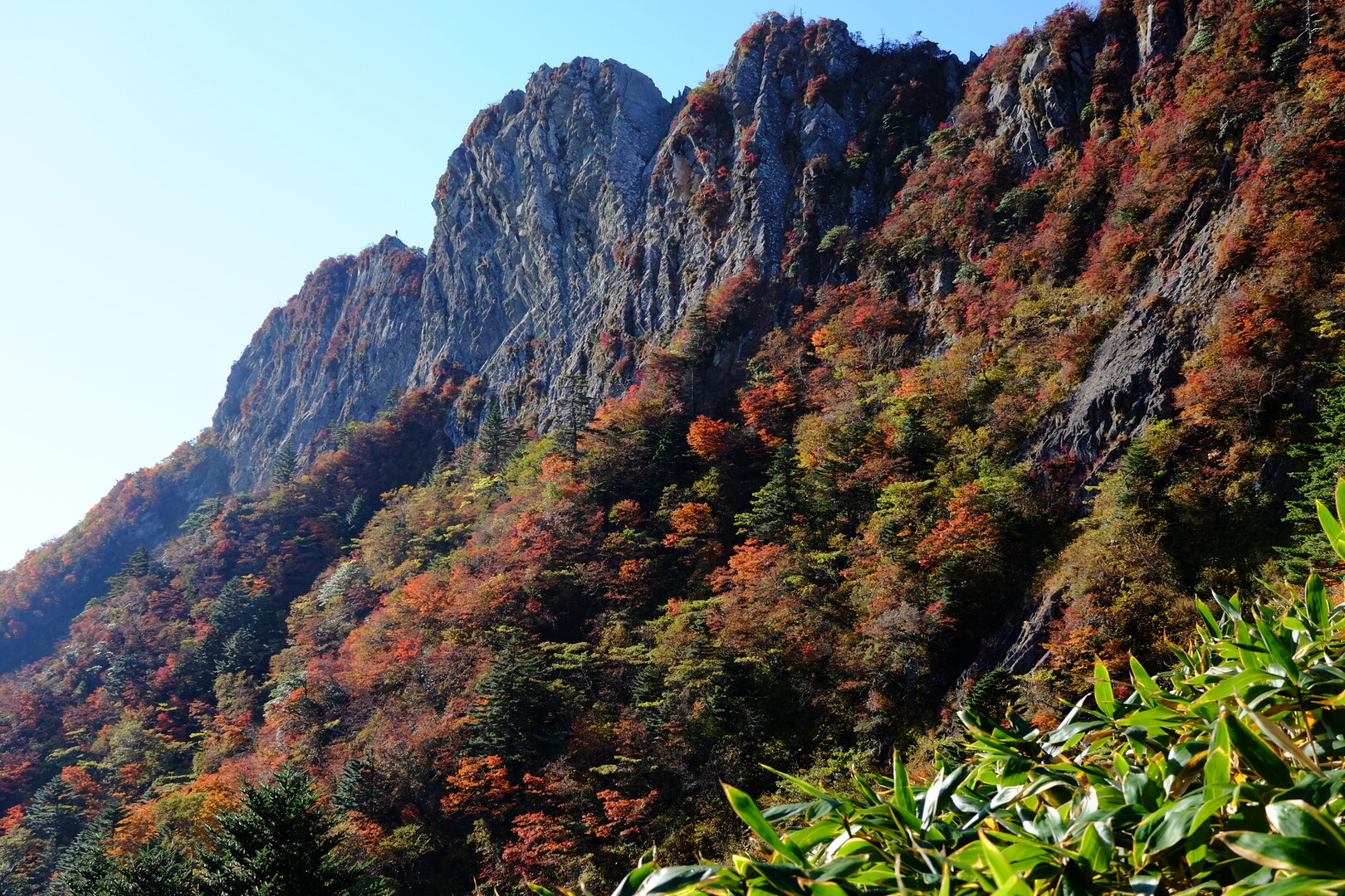 四国、石鎚山 遠征でテンションMAX＆Y... / れーずんさんのモーメント | YAMAP / ヤマップ