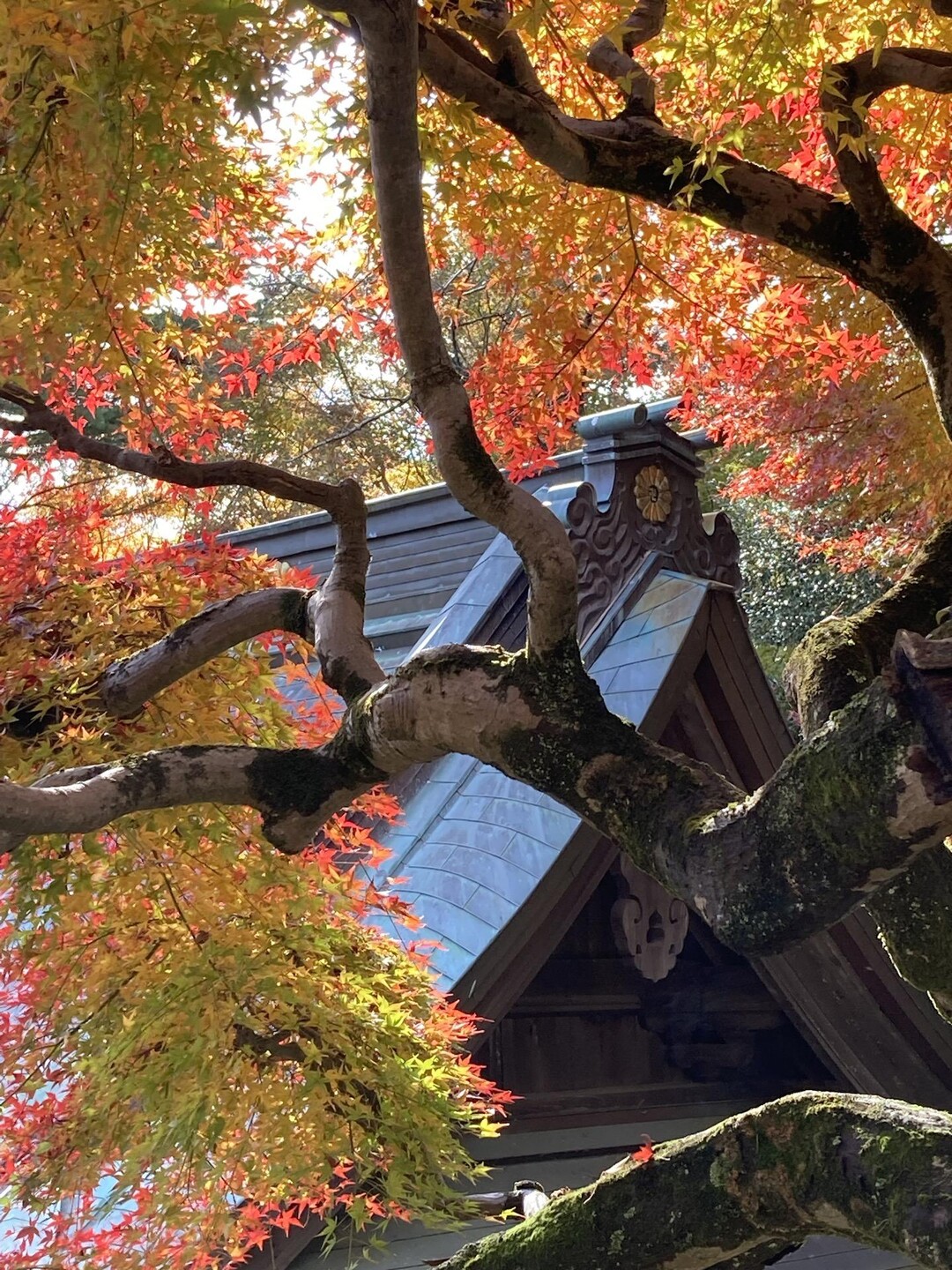 四国八十八ヶ所巡り 82番札所 根香寺 ... / koyunisoさんのモーメント | YAMAP / ヤマップ