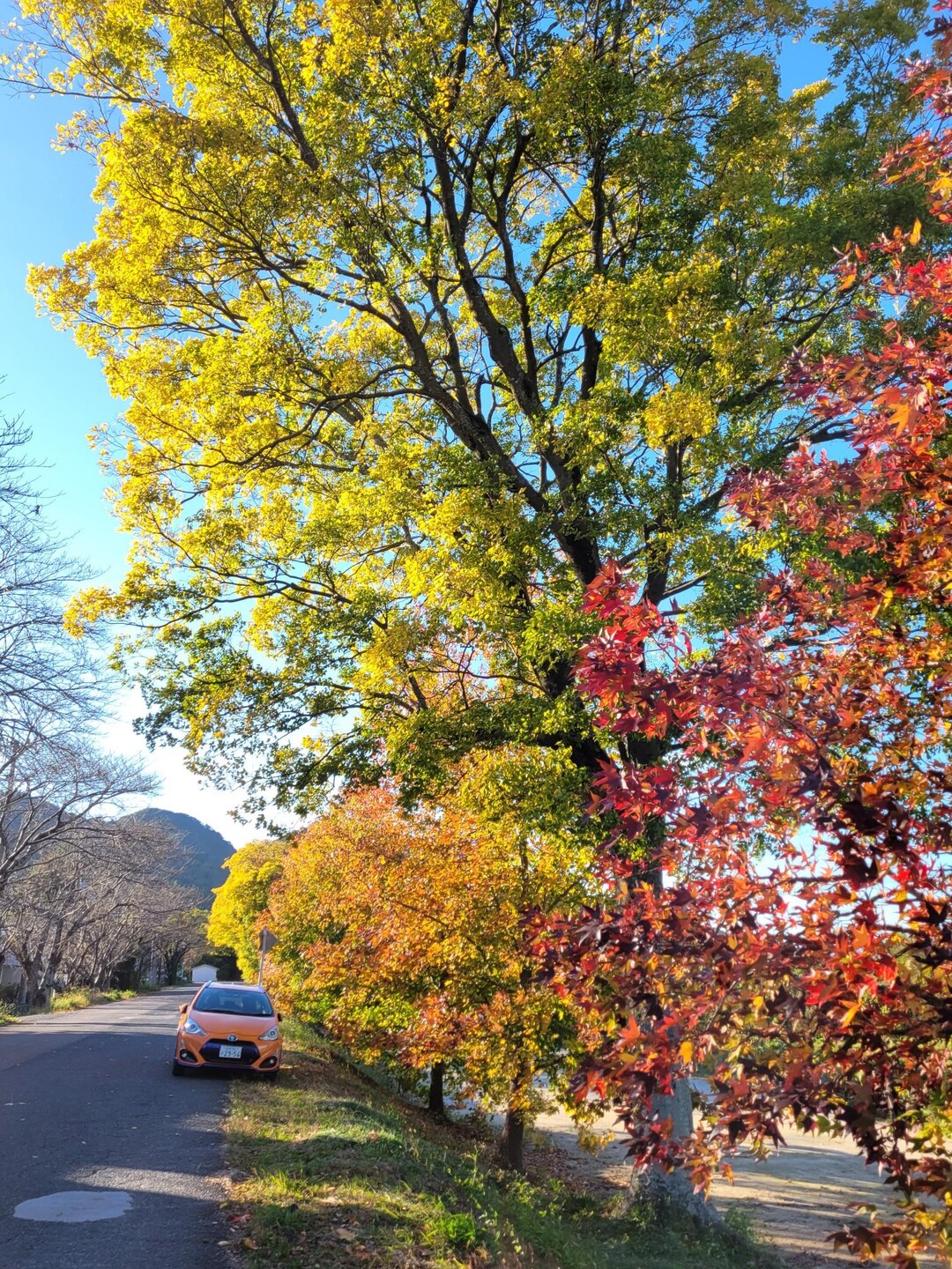 我慢のラン🏃‍♂️ / baseさんのランニングの活動データ | YAMAP / ヤマップ