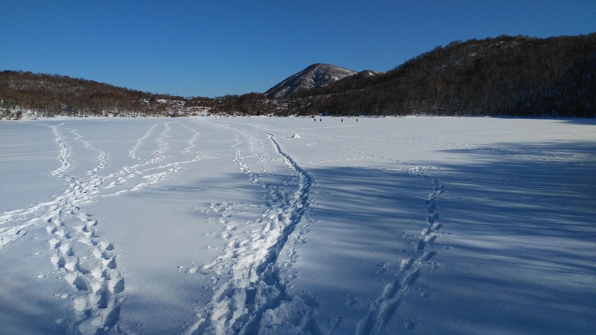 地蔵岳・北山・長七郎山・小地蔵岳 / naotoさんの赤城山・黒檜山・荒山の活動データ | YAMAP / ヤマップ