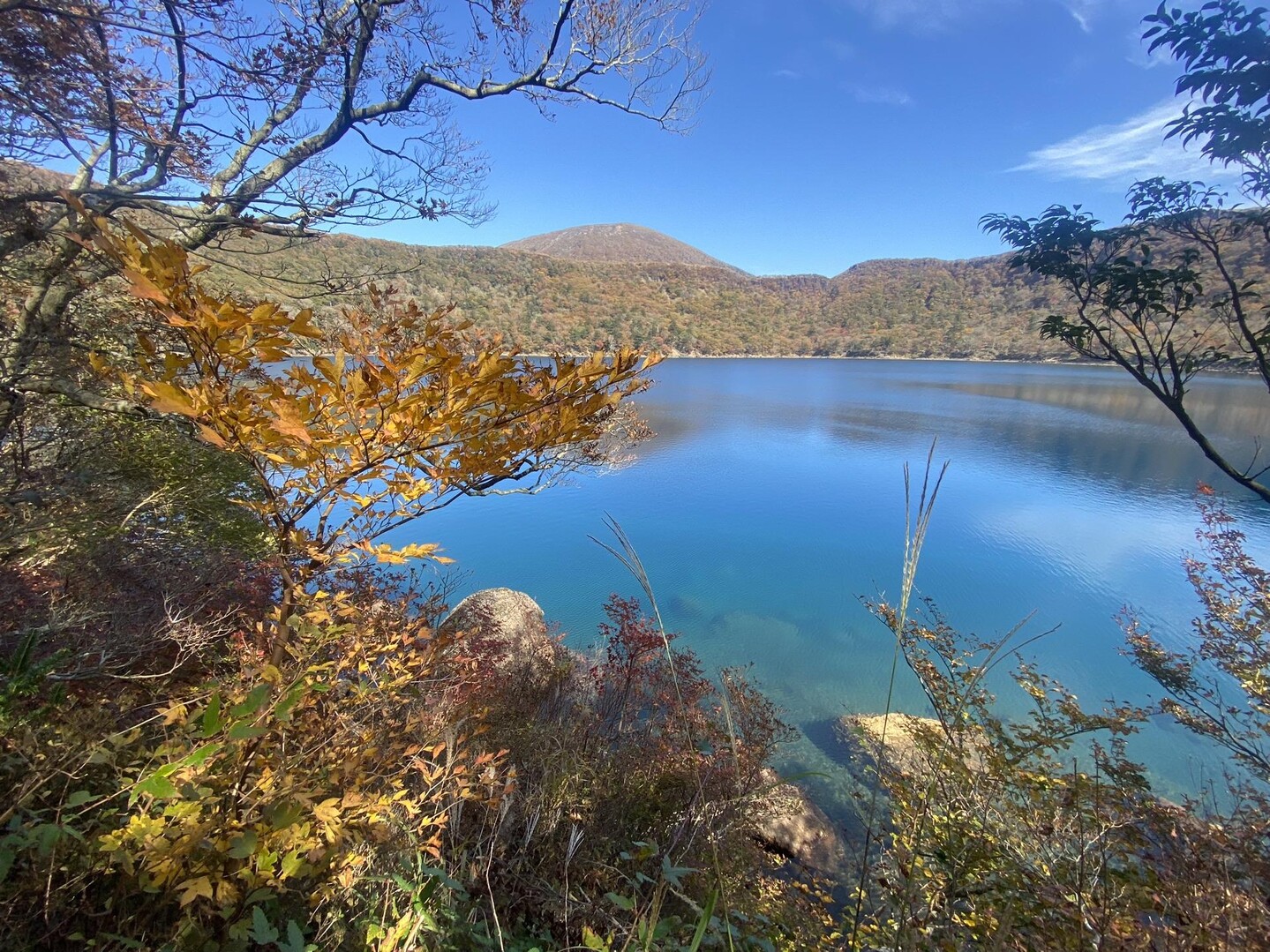 BD登山⛰️大浪池一周しました😊🍁2023-11-01 / kiko-mamaさんの霧島山・韓国岳・高千穂峰・夷守岳・烏帽子岳の活動データ | YAMAP / ヤマップ