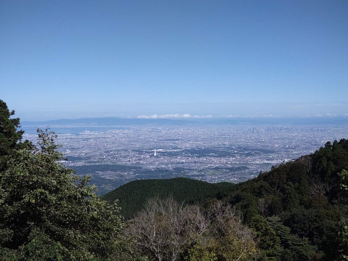 220904金剛山 / STSケイさんのウォーキングの活動データ | YAMAP / ヤマップ