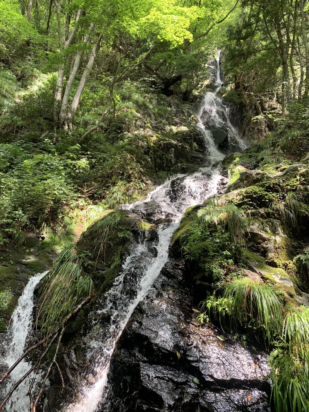 那智ノ滝 庄原市西城町熊野 / ktakuさんのモーメント | YAMAP / ヤマップ