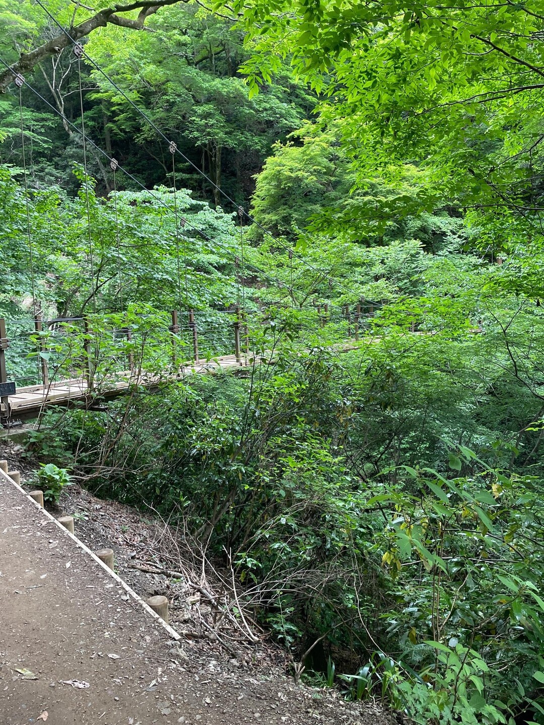 高尾山・神変山 / R3 kenさんの高尾山・陣馬山・景信山の活動データ | YAMAP / ヤマップ