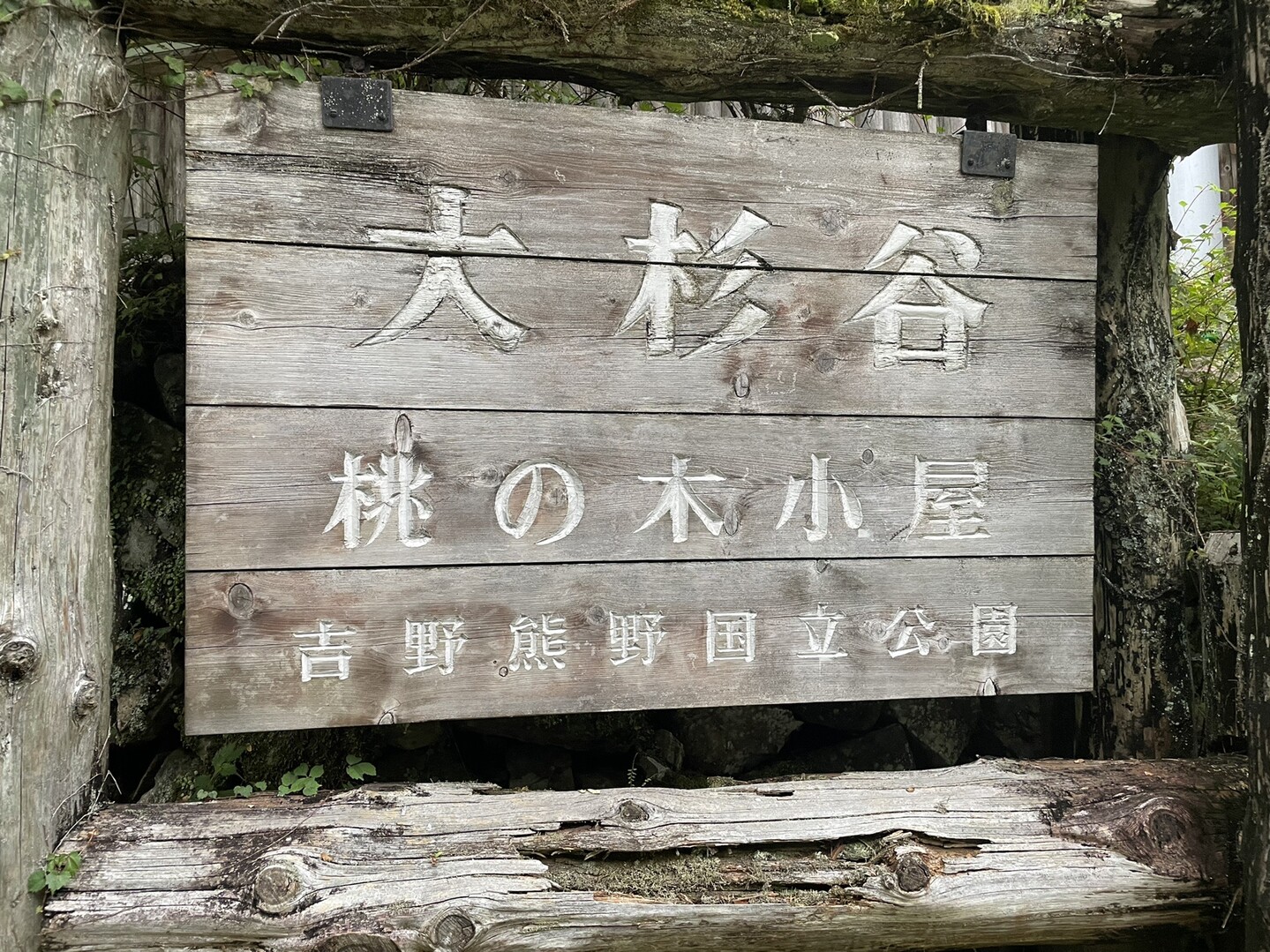 大台ヶ原山・日出ヶ岳・大杉谷-2022-07-31 / JFBKさんの大台ヶ原山・日出ヶ岳・大杉谷の活動データ | YAMAP / ヤマップ