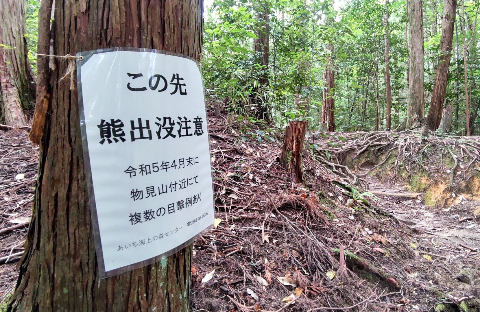 物見山 2023-06-01 / ikoanさんの猿投山・物見山の活動データ | YAMAP / ヤマップ